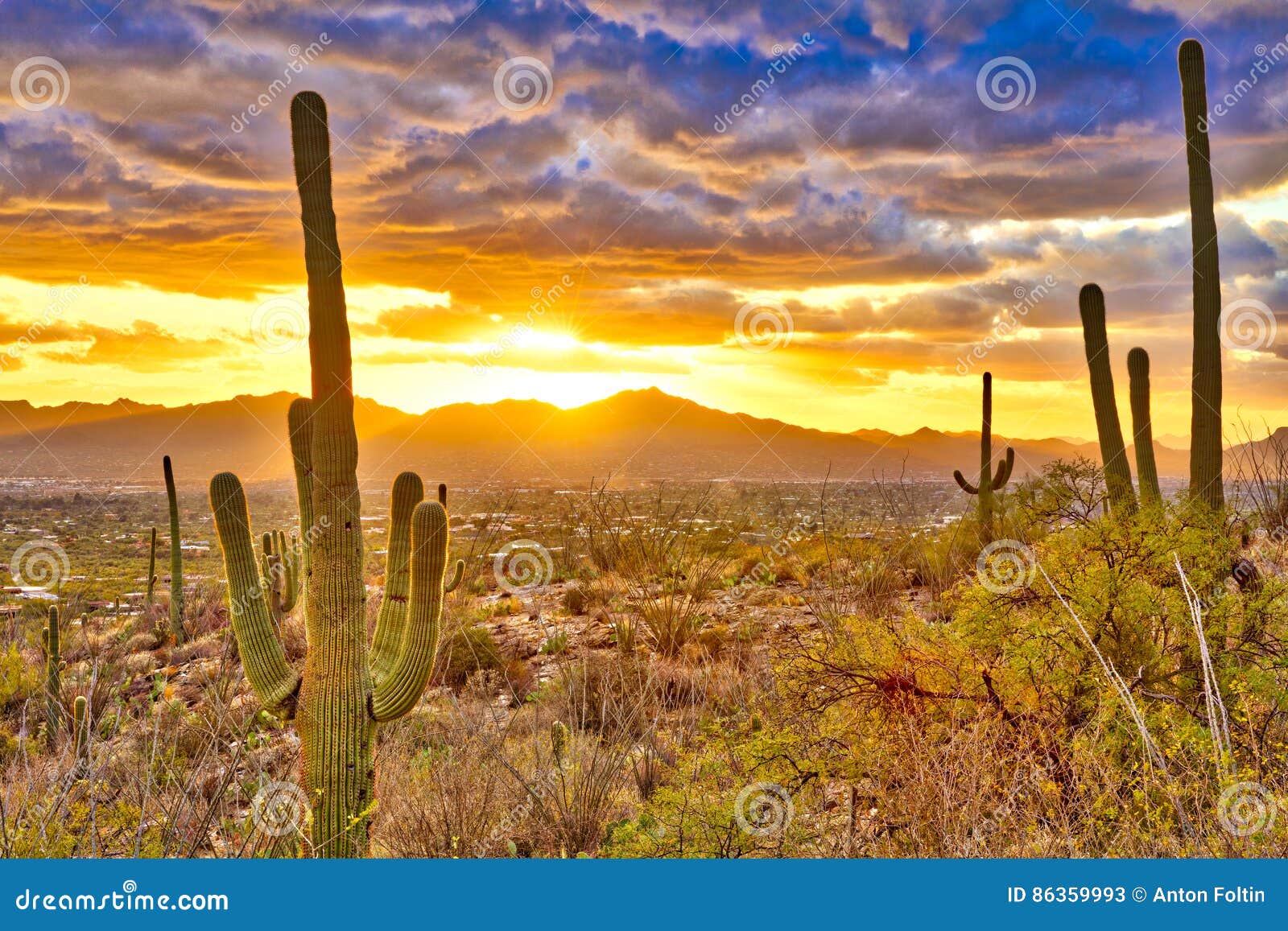 Tucson Stock Images - Download 7,272 Photos