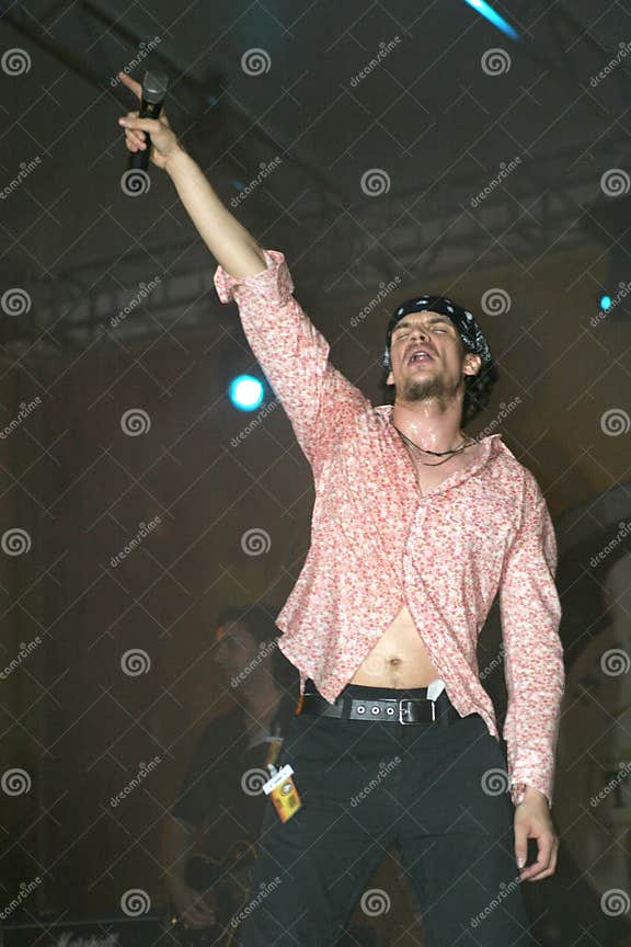 Tudor Chirila editorial stock image. Image of chirila - 28632024