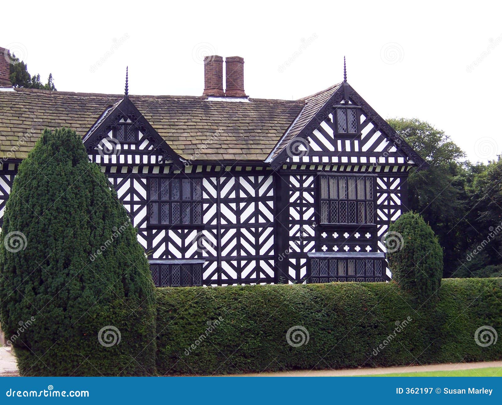Tudor hall 1 stock image. Image of leaded, windows, white - 362197