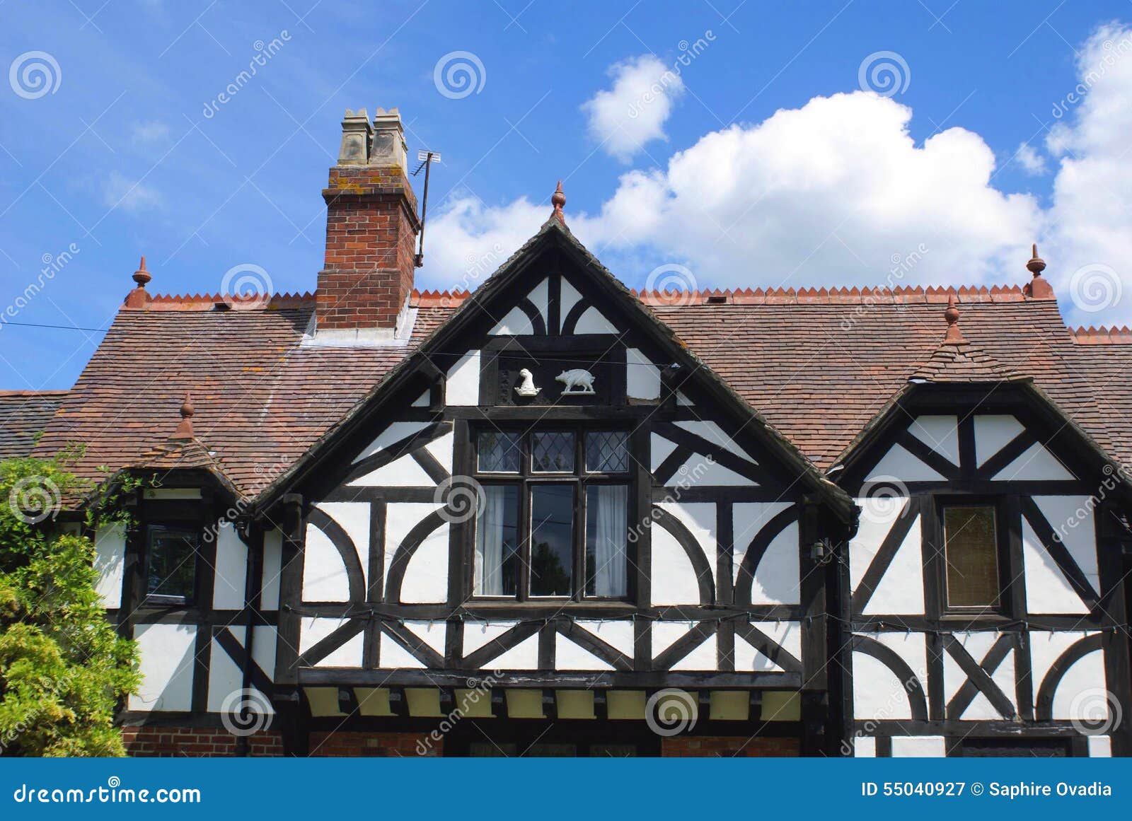 Tudor Window Royalty-Free Stock Photography | CartoonDealer.com #55040927