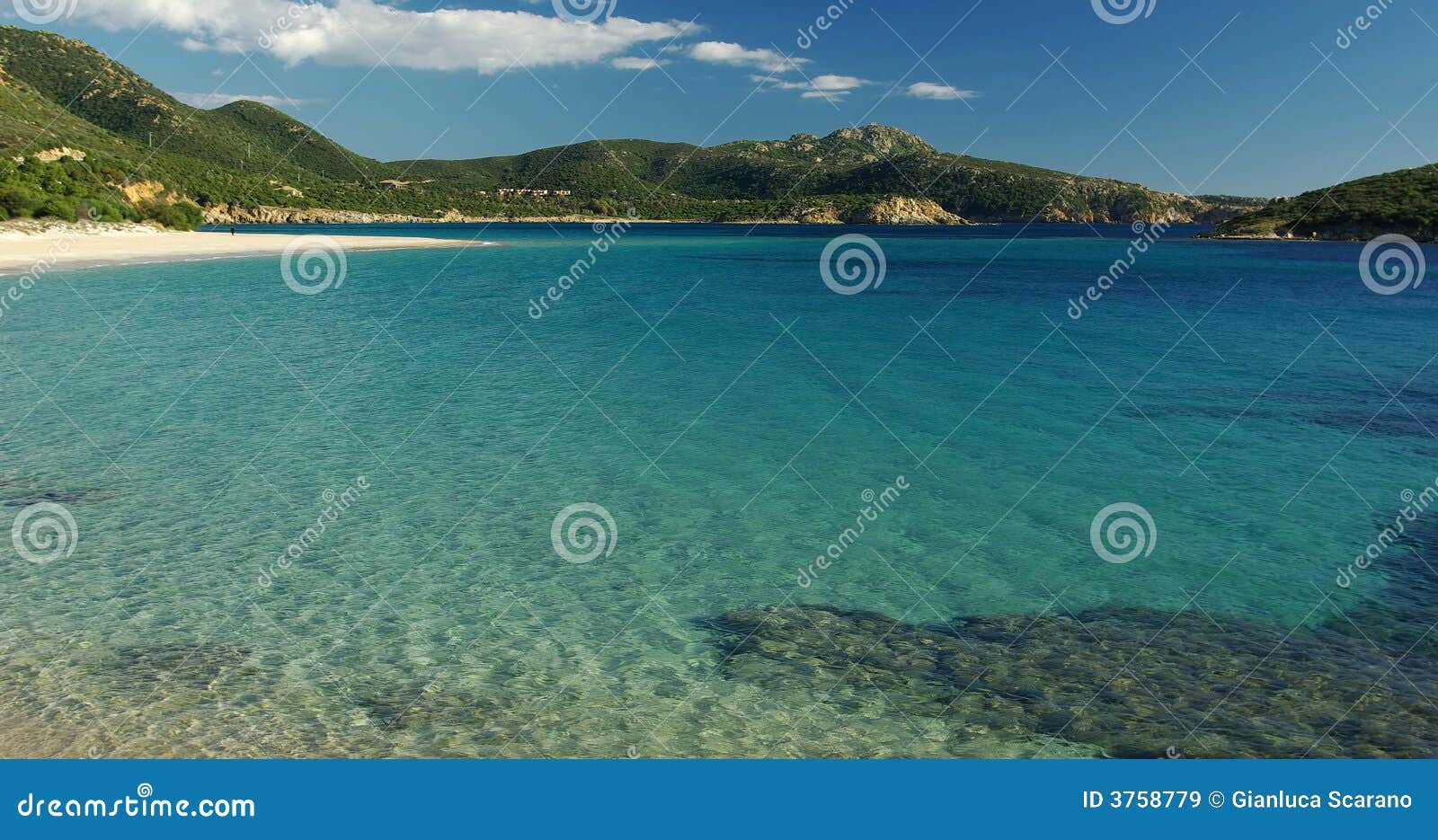 Tuerredda Beach stock image. Image of flowers, azure, calm - 3758779