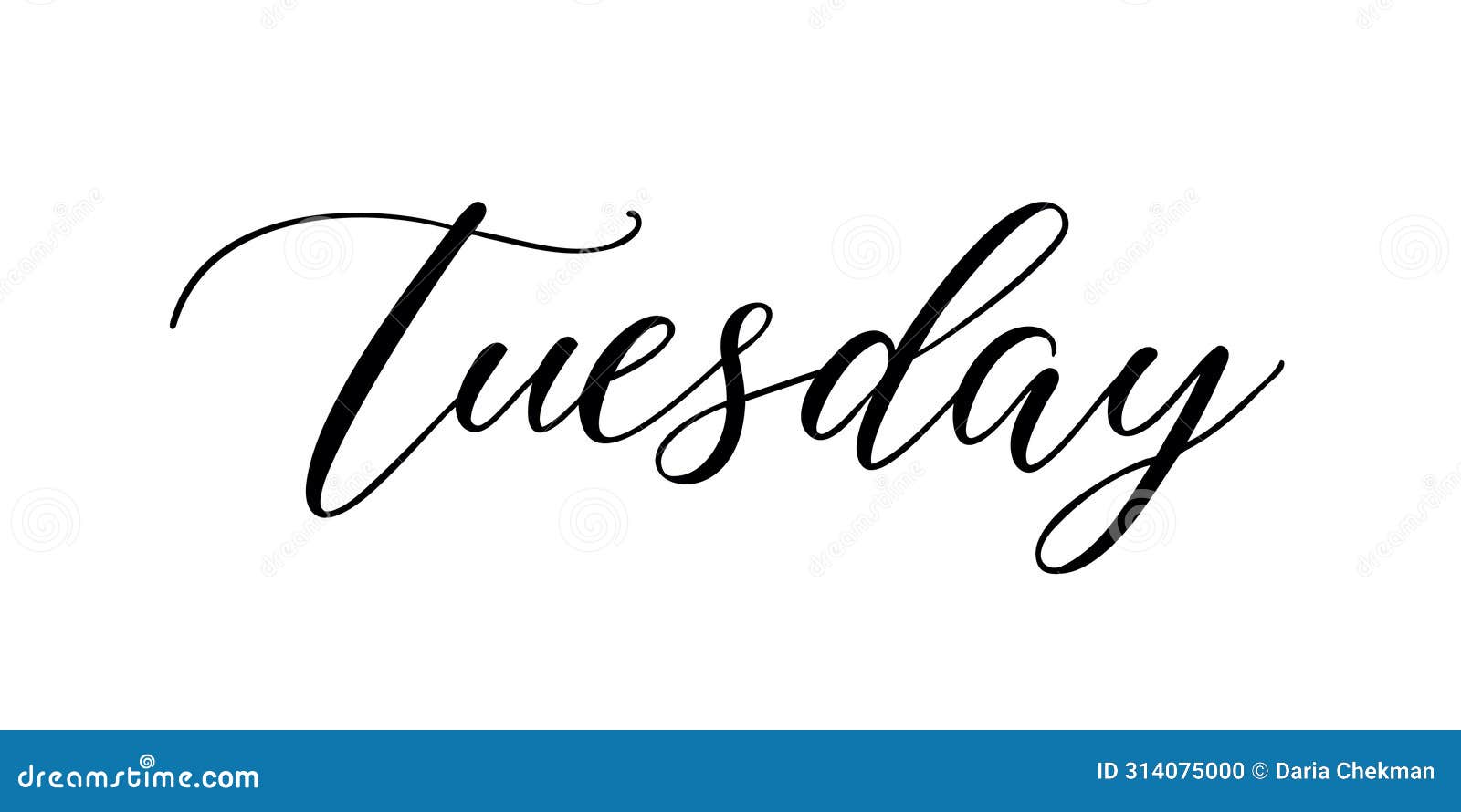 Tuesday - Handwritten Text in Calligraphic Style on a White Background ...