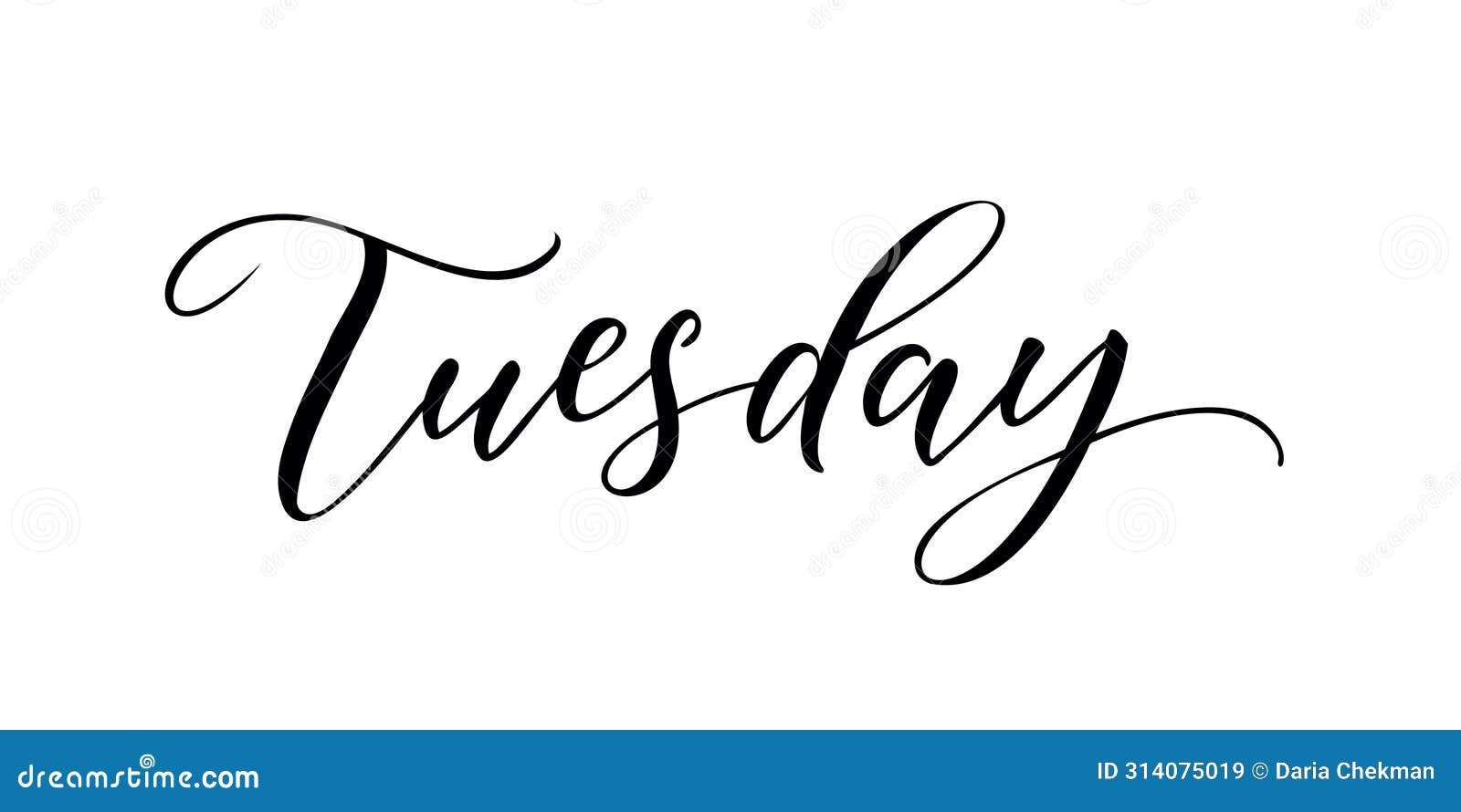 Tuesday - Handwritten Text in Calligraphic Style on a White Background ...