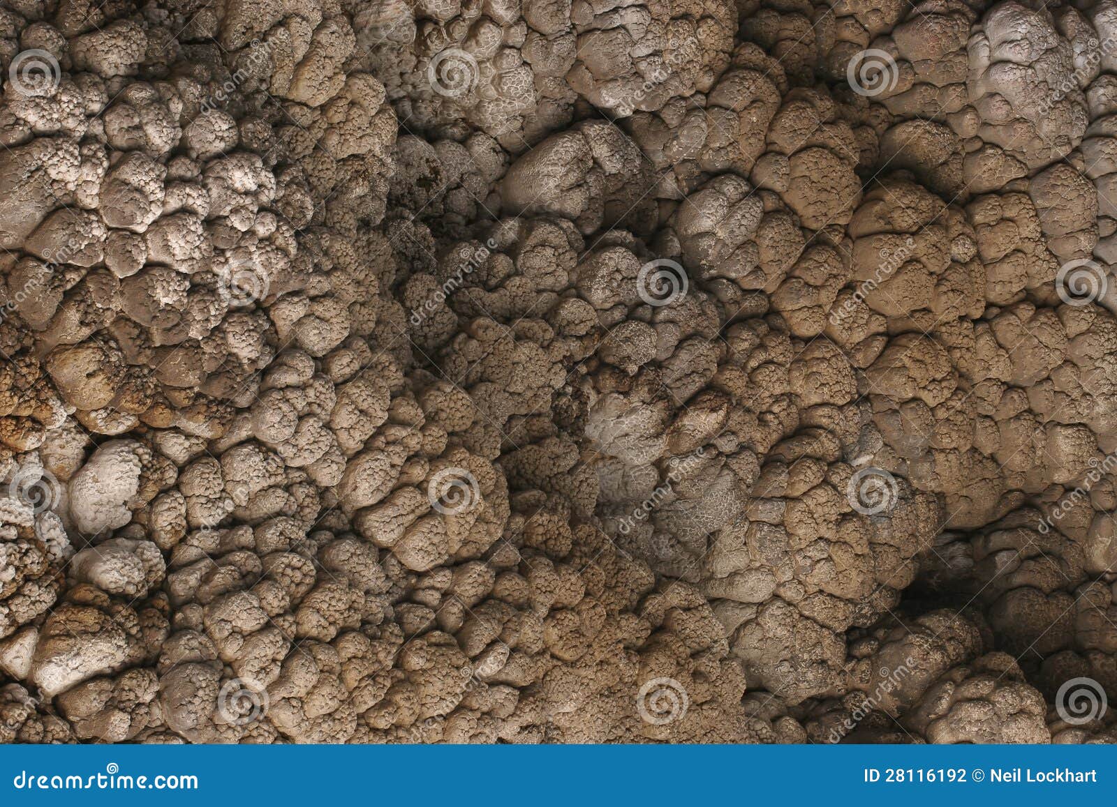 Cave Ceiling Royalty-Free Stock Photo | CartoonDealer.com #222337719
