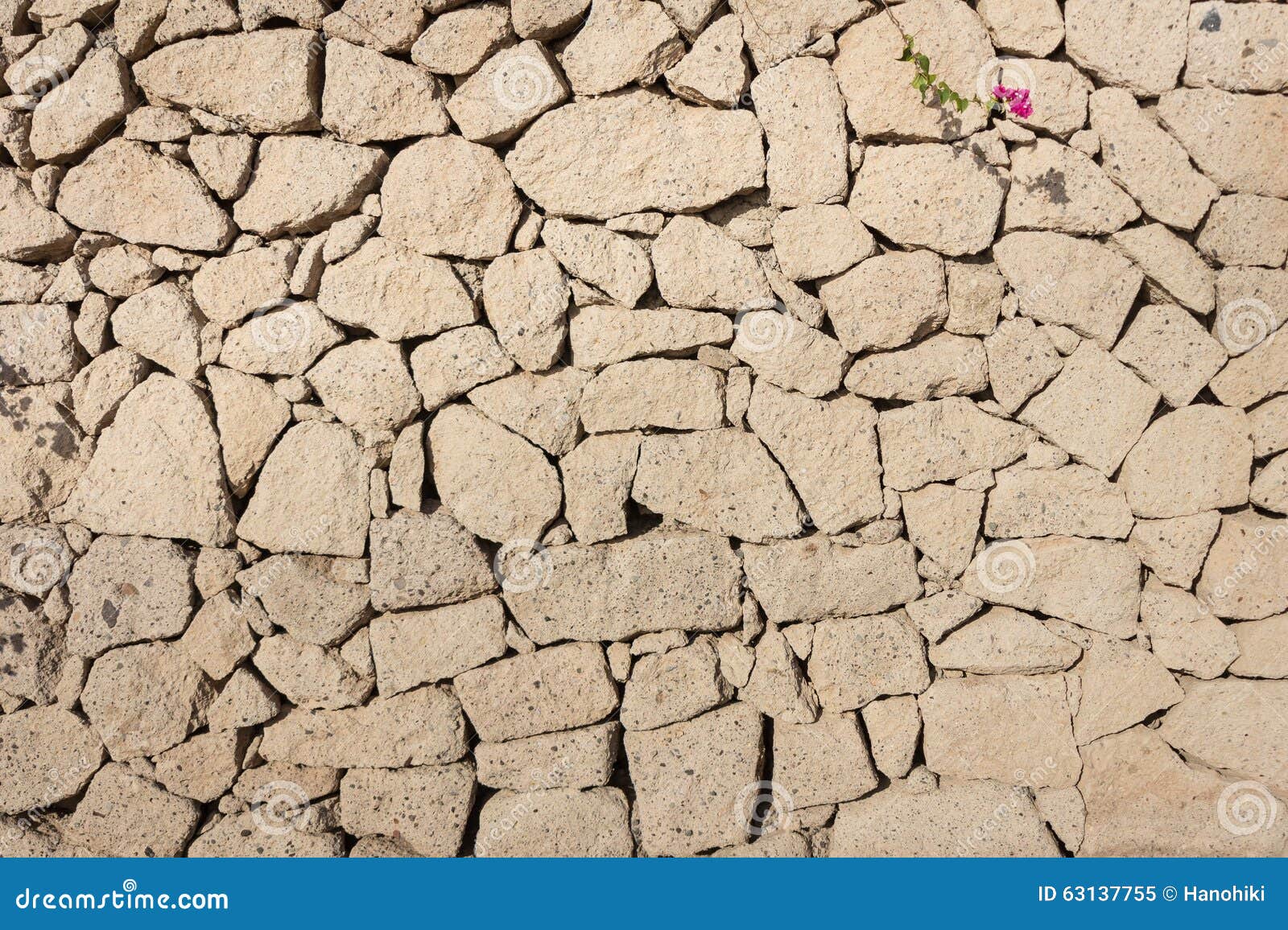 Tuff Stone Specimen For Education. Tuff Stone Is A Kind Of Volcanic ...