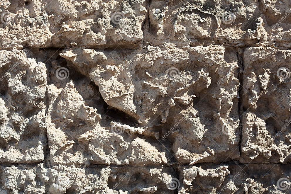 Tuff Wall Texture stock photo. Image of gray, close, abstract - 23841514