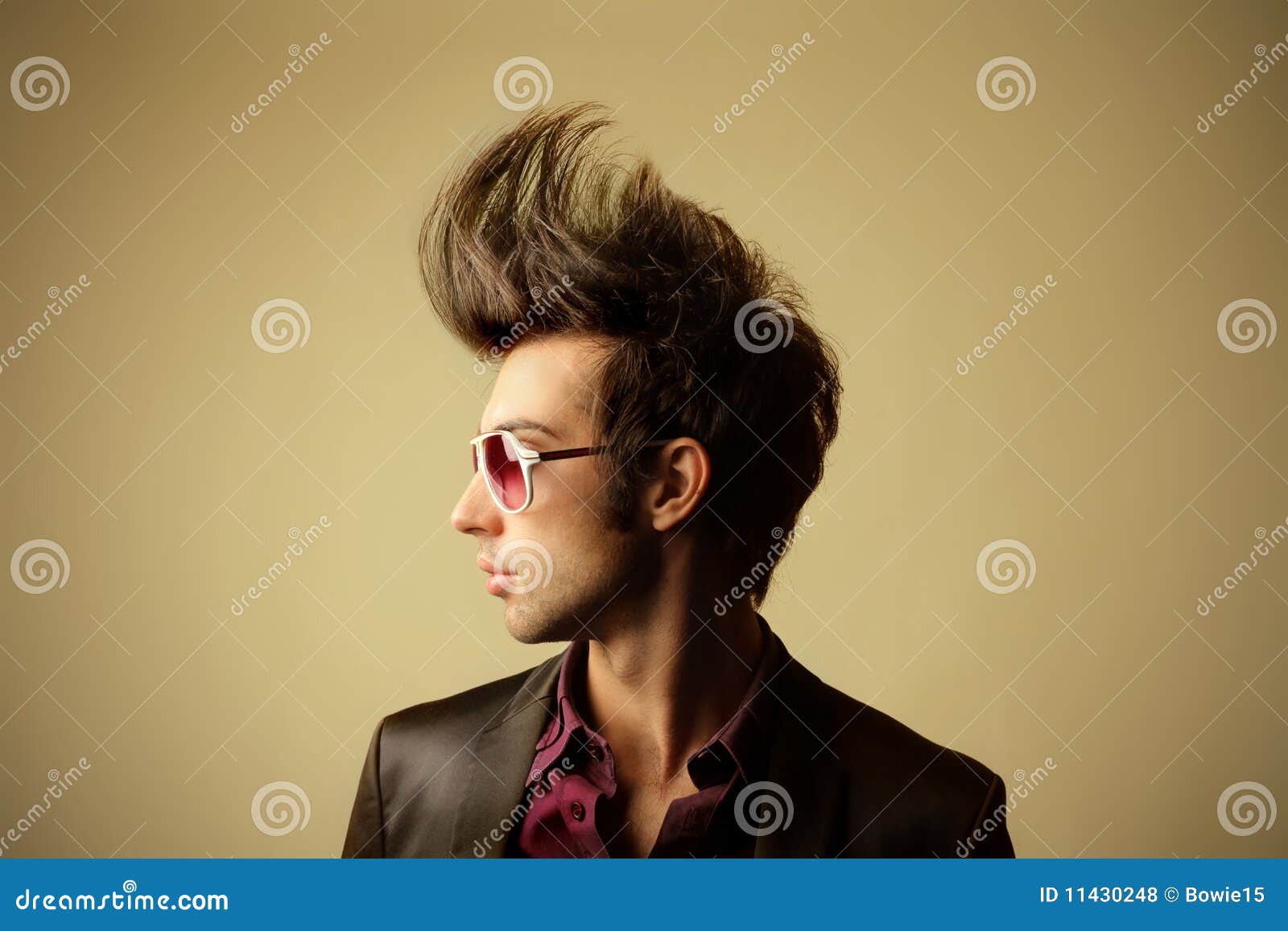 Tuft stock photo. Image of male, strange, beauty, tuft - 11430248