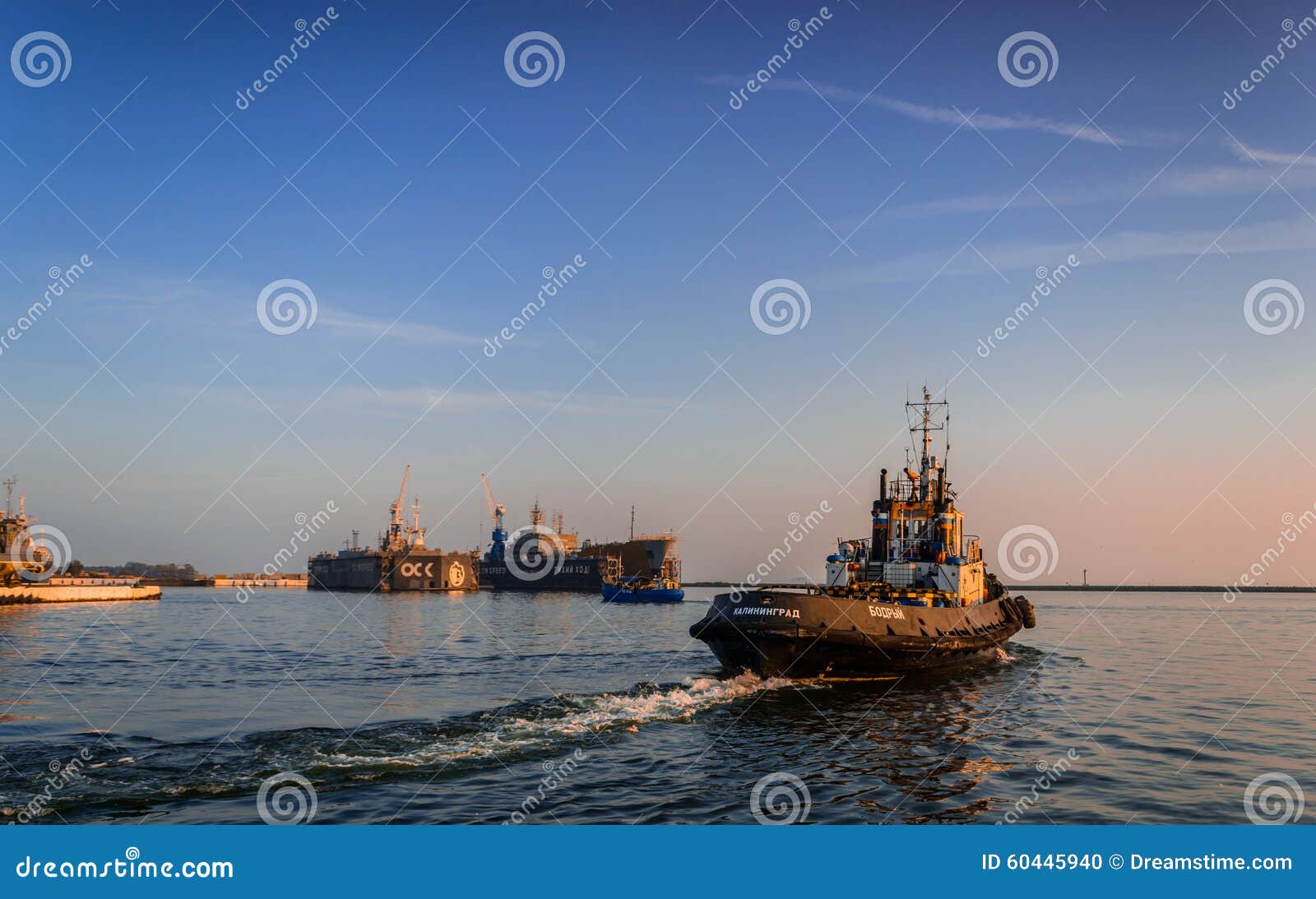 Tugboat in the port editorial image. Image of white, evening - 60445940
