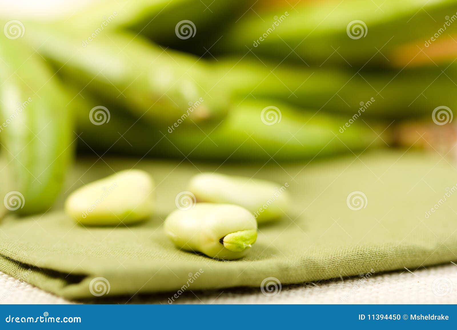 Tuinbonen stock foto. Image of groen, narcotize, geschild - 11394450