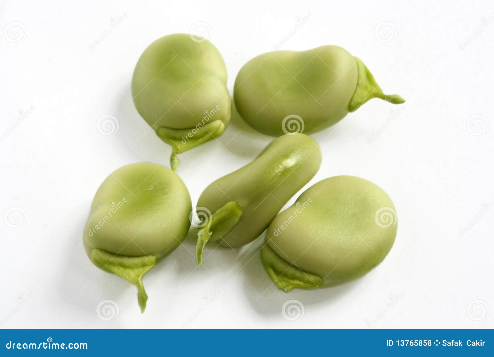 Tuinboon stock foto. Image of comfortabel, landbouw, heerlijk - 13765858