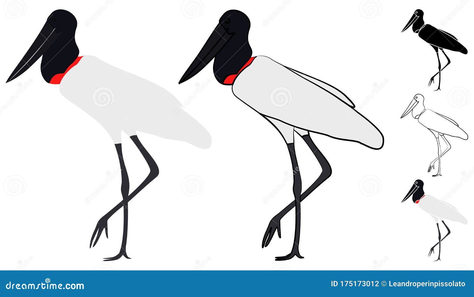 Tuiuiu Bird in Profile View Stock Vector - Illustration of feather ...