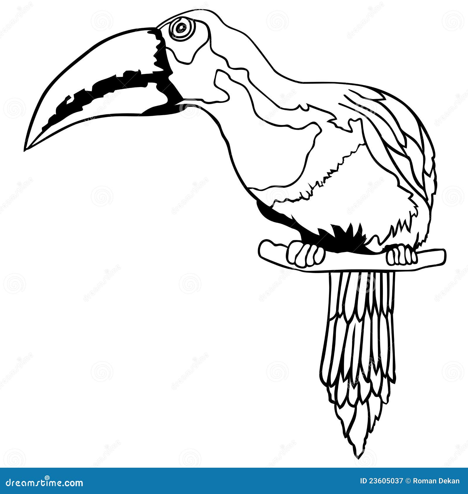 Tukan stock vector. Illustration of beak, bird, clip - 23605037