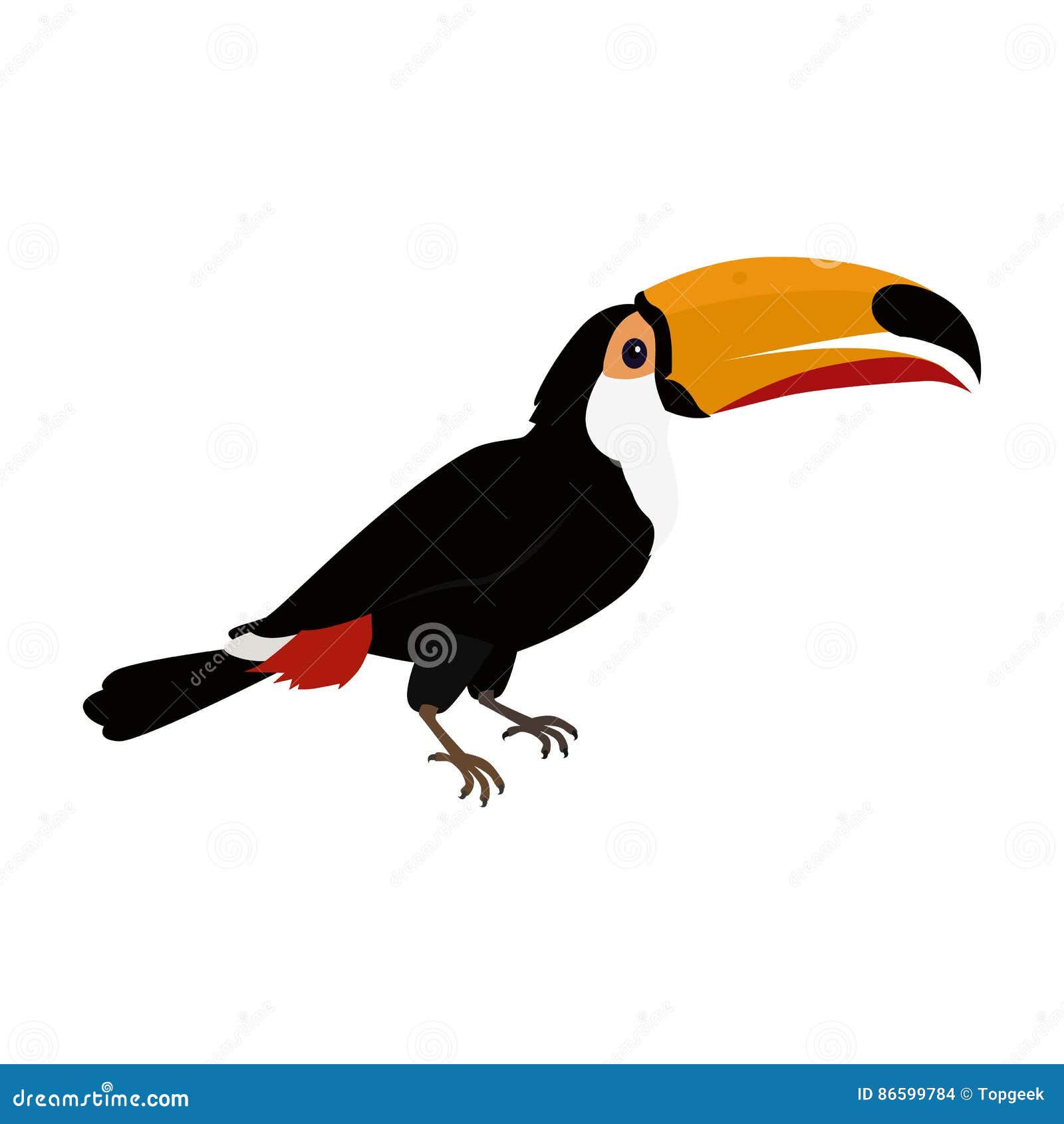 Tukan-Vogel-flache Design-Vektor-Illustration Vektor Abbildung ...