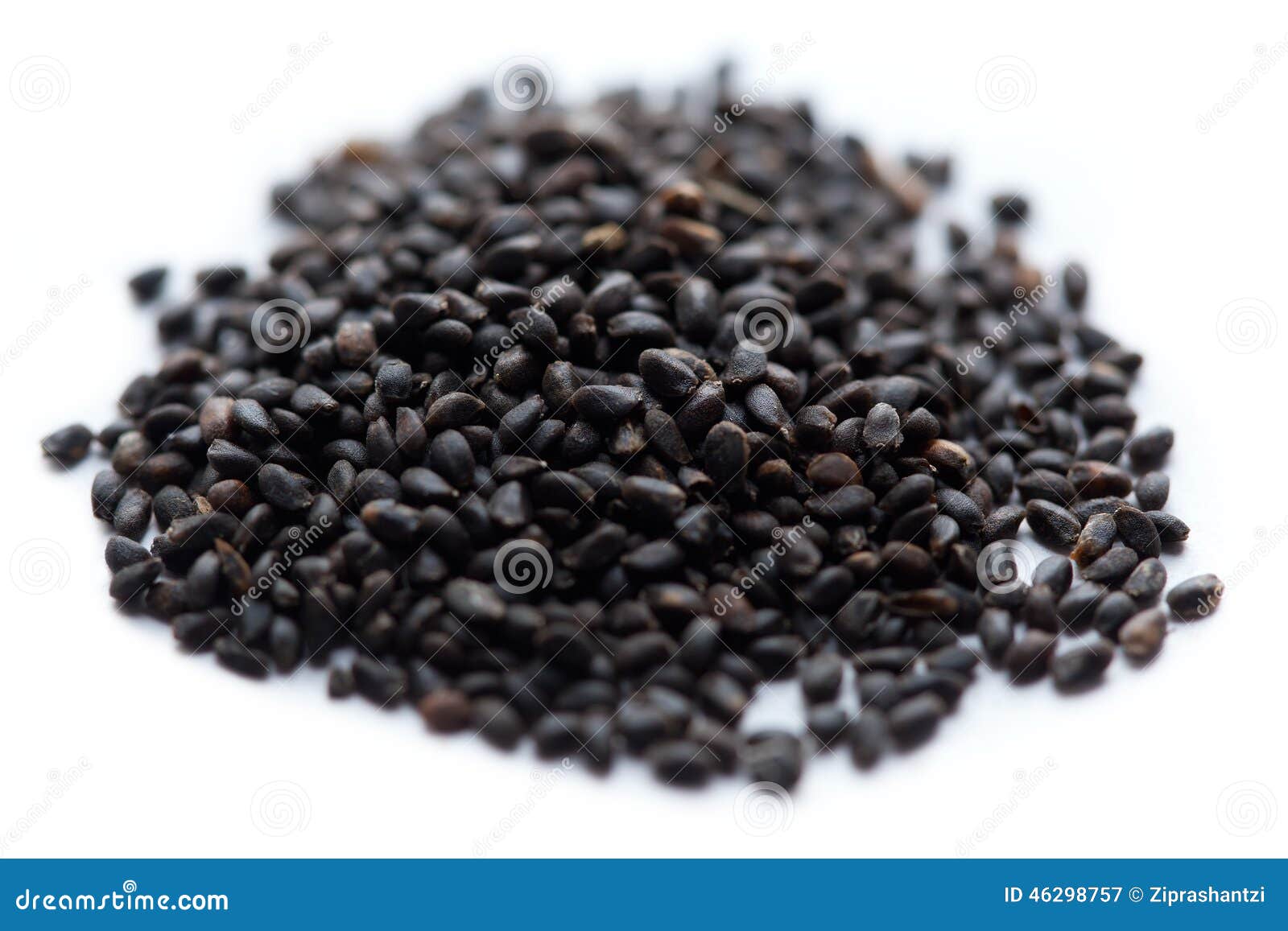 Tukmaria Seeds (ocimum Basilicum) or Basil Seeds Stock Image - Image of ...