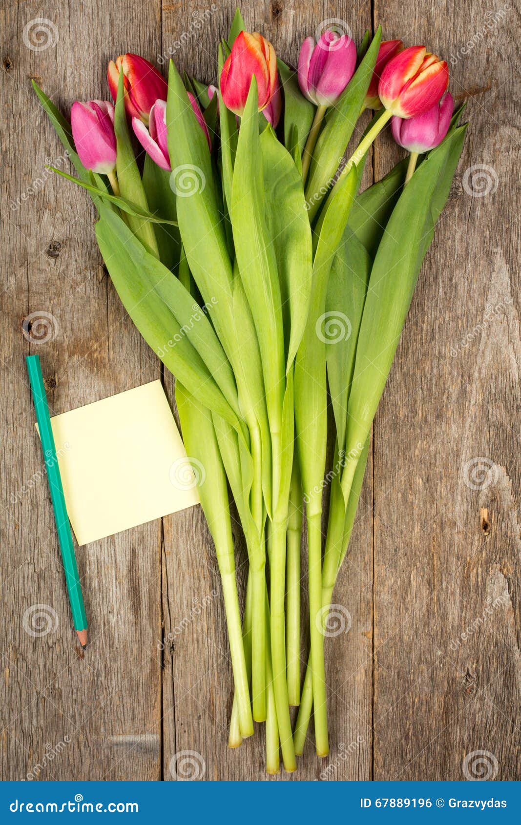 Tulip Bouquet and Blank Sticky Note Stock Photo - Image of bucket ...