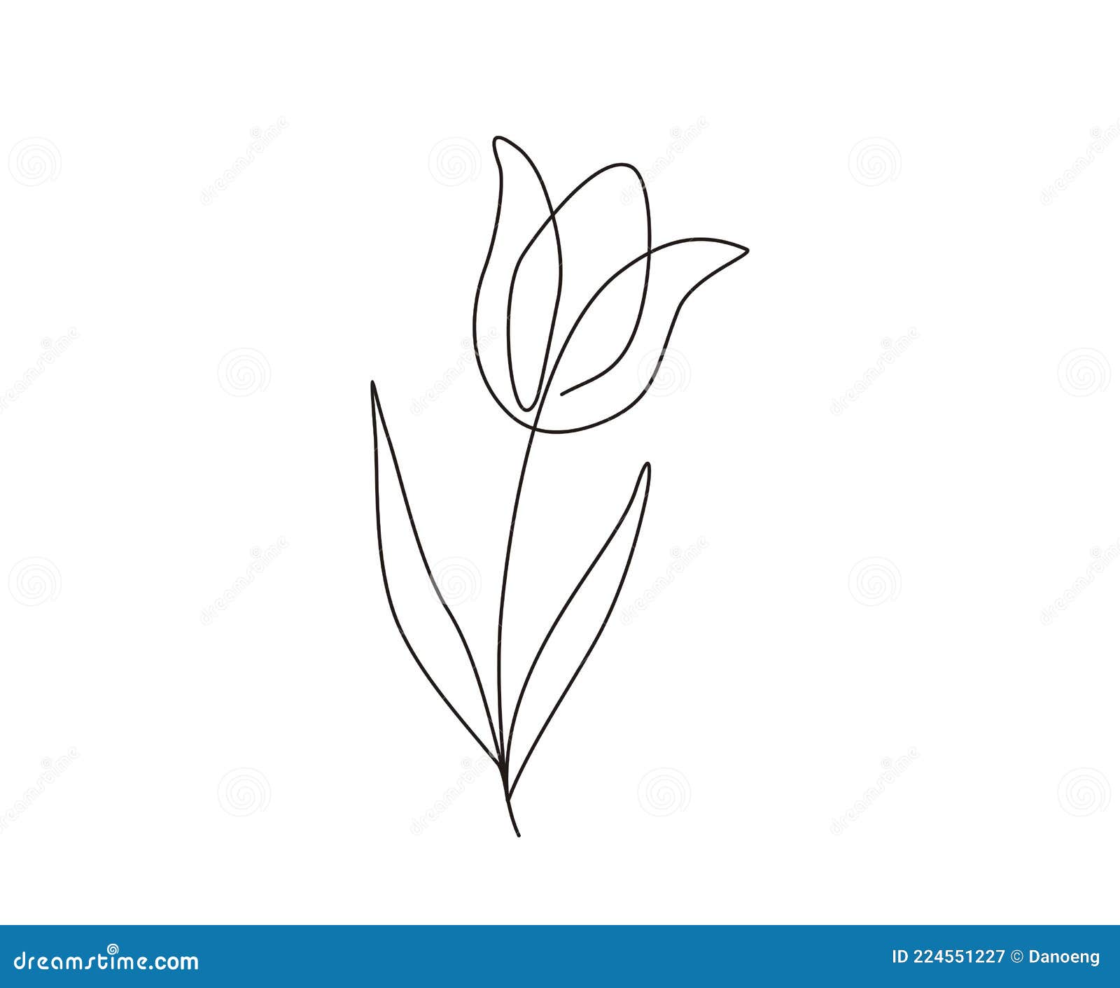Tulip Continuous Line Drawing Art. Minimalist Contour Drawing Stock ...