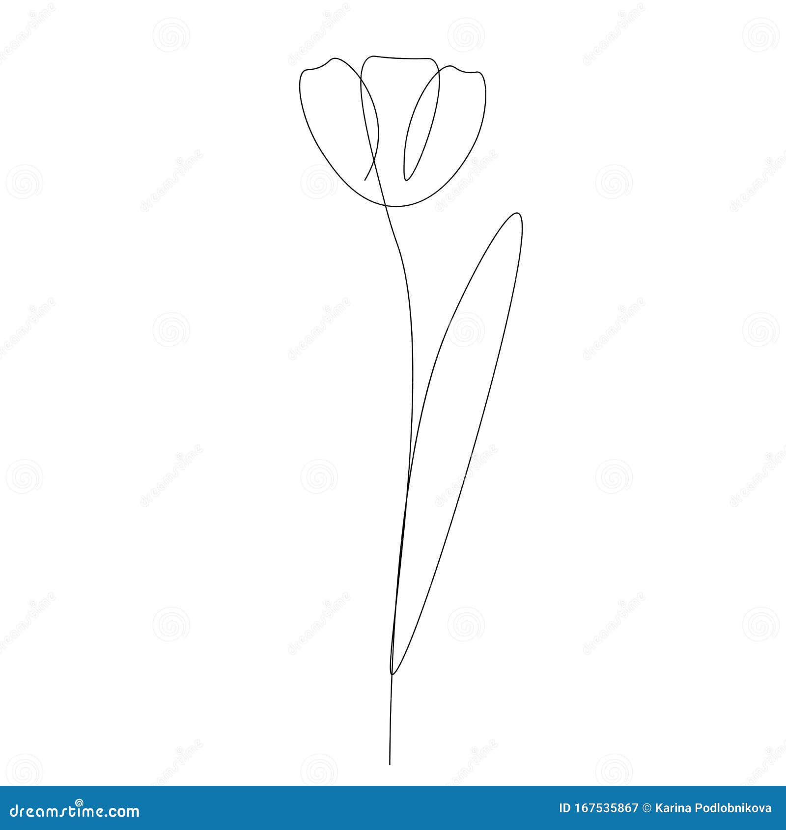 Tulip Continuous Line Drawing. Vector Stock Vector - Illustration of ...