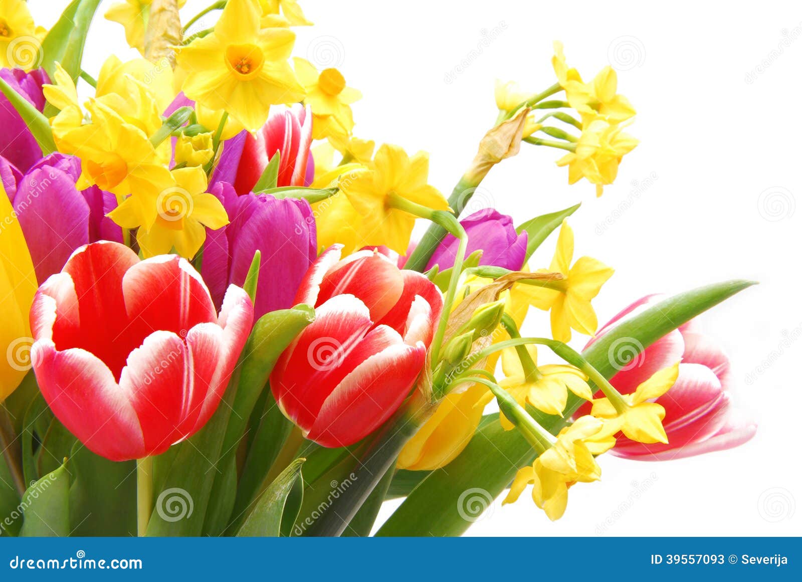 Tulip and daffodils flower stock image. Image of bunch - 39557093