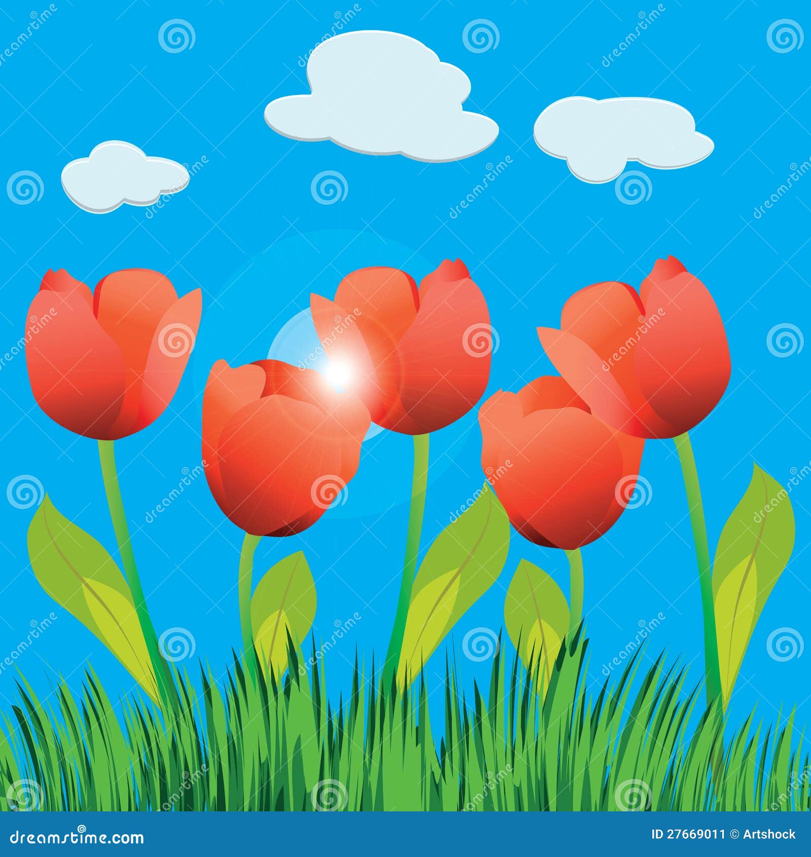 Tulip field stock vector. Illustration of tulip, design - 27669011