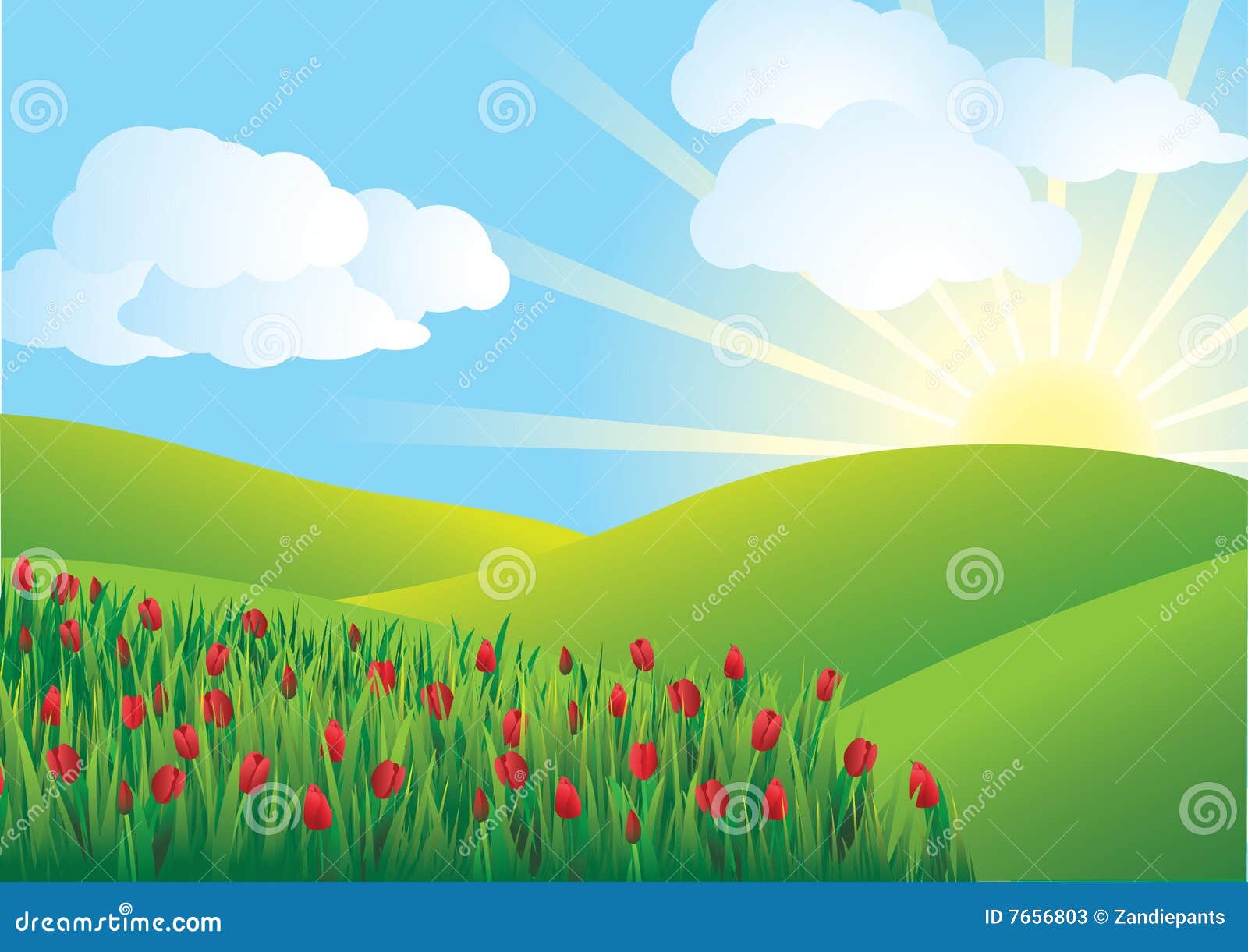 Tulip field - vector stock vector. Illustration of beautiful - 7656803