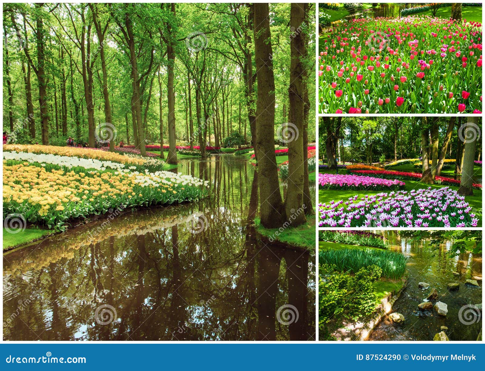 Tulip Fields Collage of Different Tulips Stock Photo - Image of blue ...