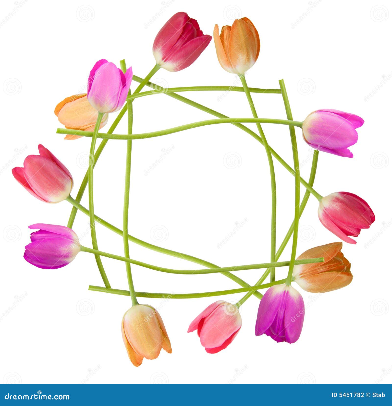 Tulip Floral Border Stock Photography - Image: 5451782