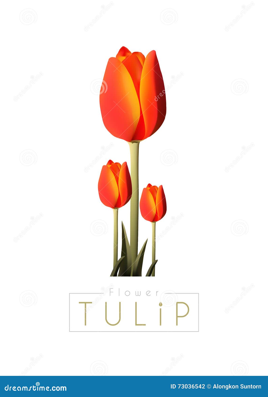 Tulip stock vector. Illustration of color, nature, tulip - 73036542