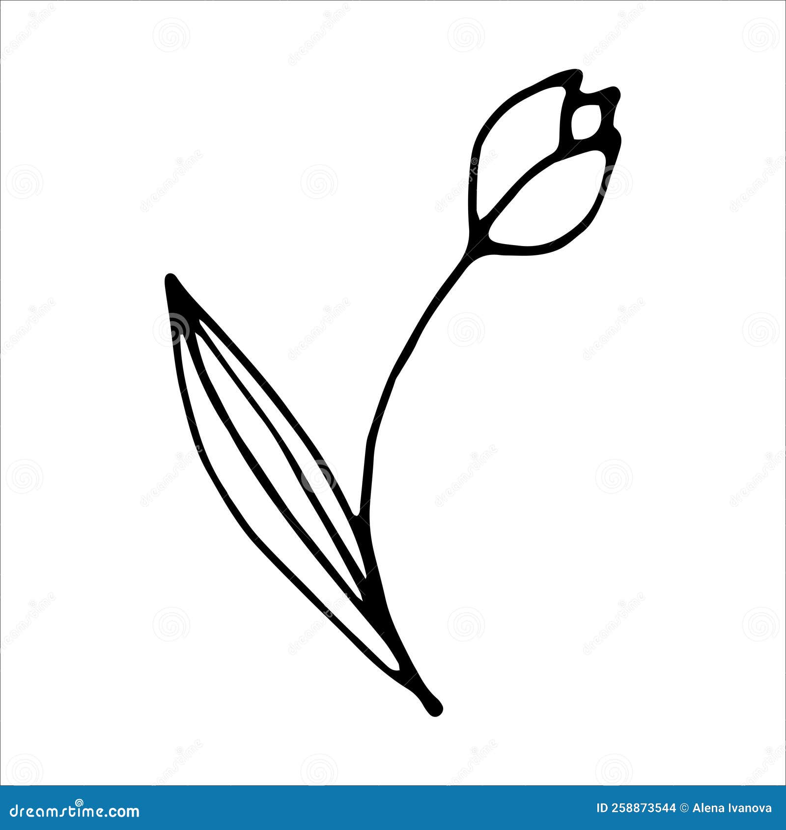 Tulip Flower Doodle Style Vector Illustration Isolated on White Stock ...