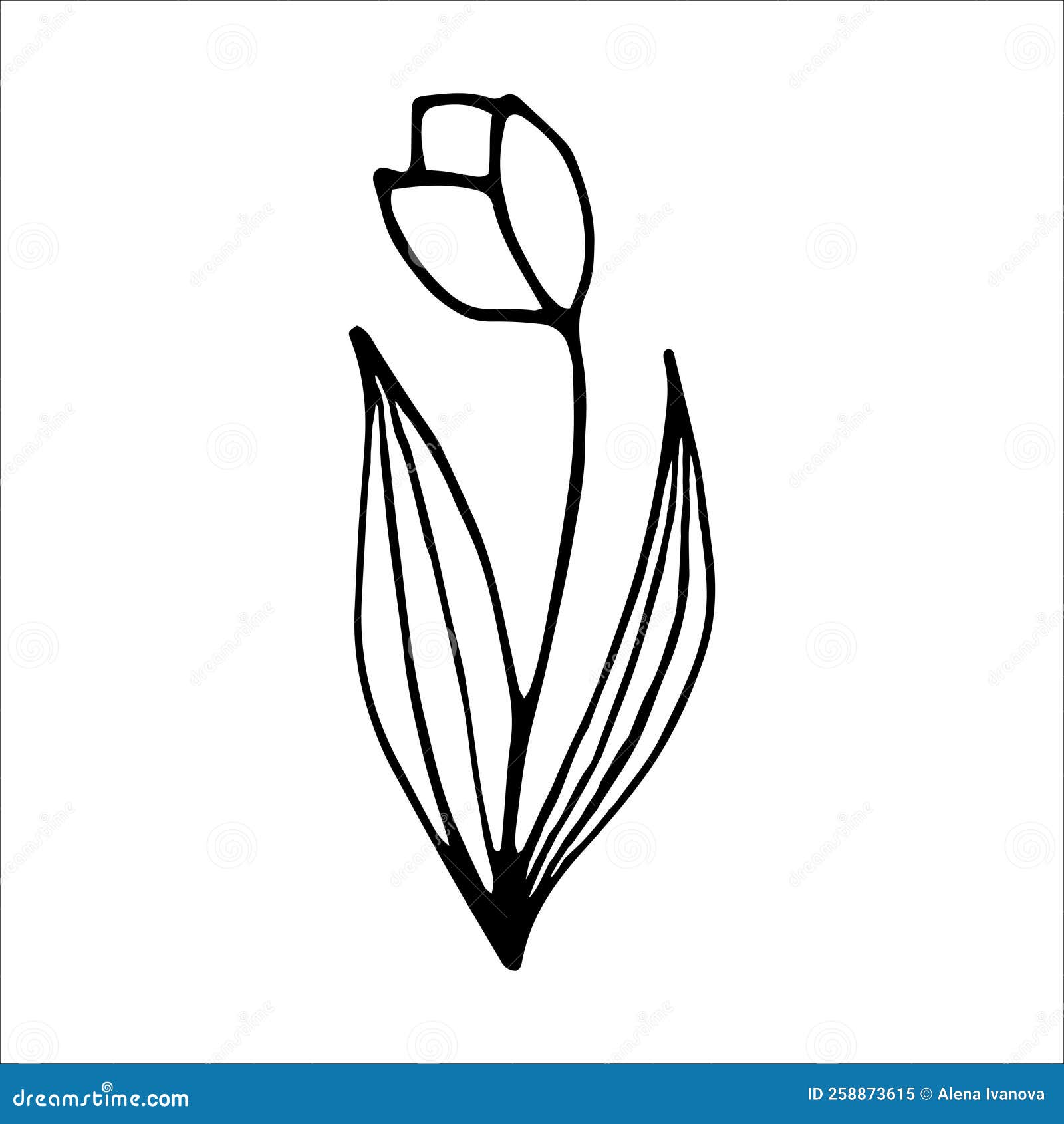 Tulip Flower Doodle Style Vector Illustration Isolated on White Stock ...