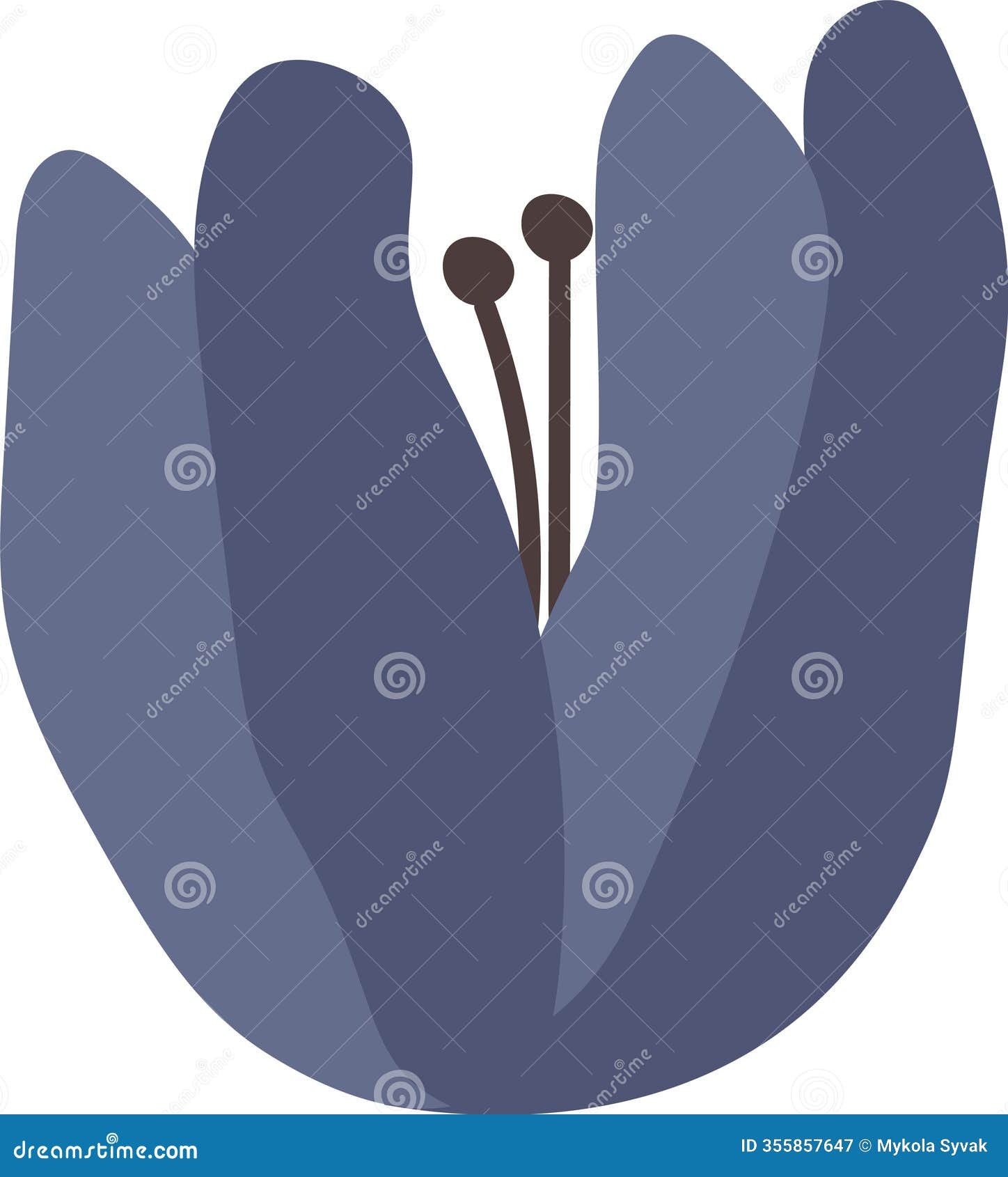 Tulip Flower Head stock illustration. Illustration of single - 355857647