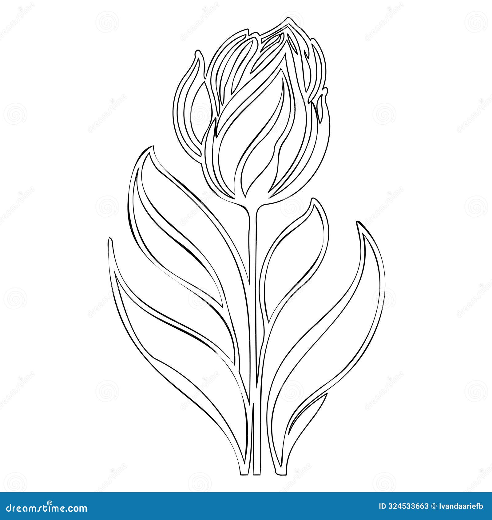 Tulip Flower Outline Illustration Sketch Stock Vector - Illustration of ...