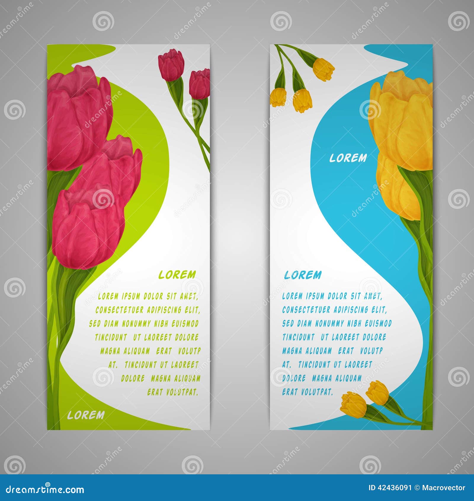 Tulip flowers banners stock vector. Illustration of flower - 42436091