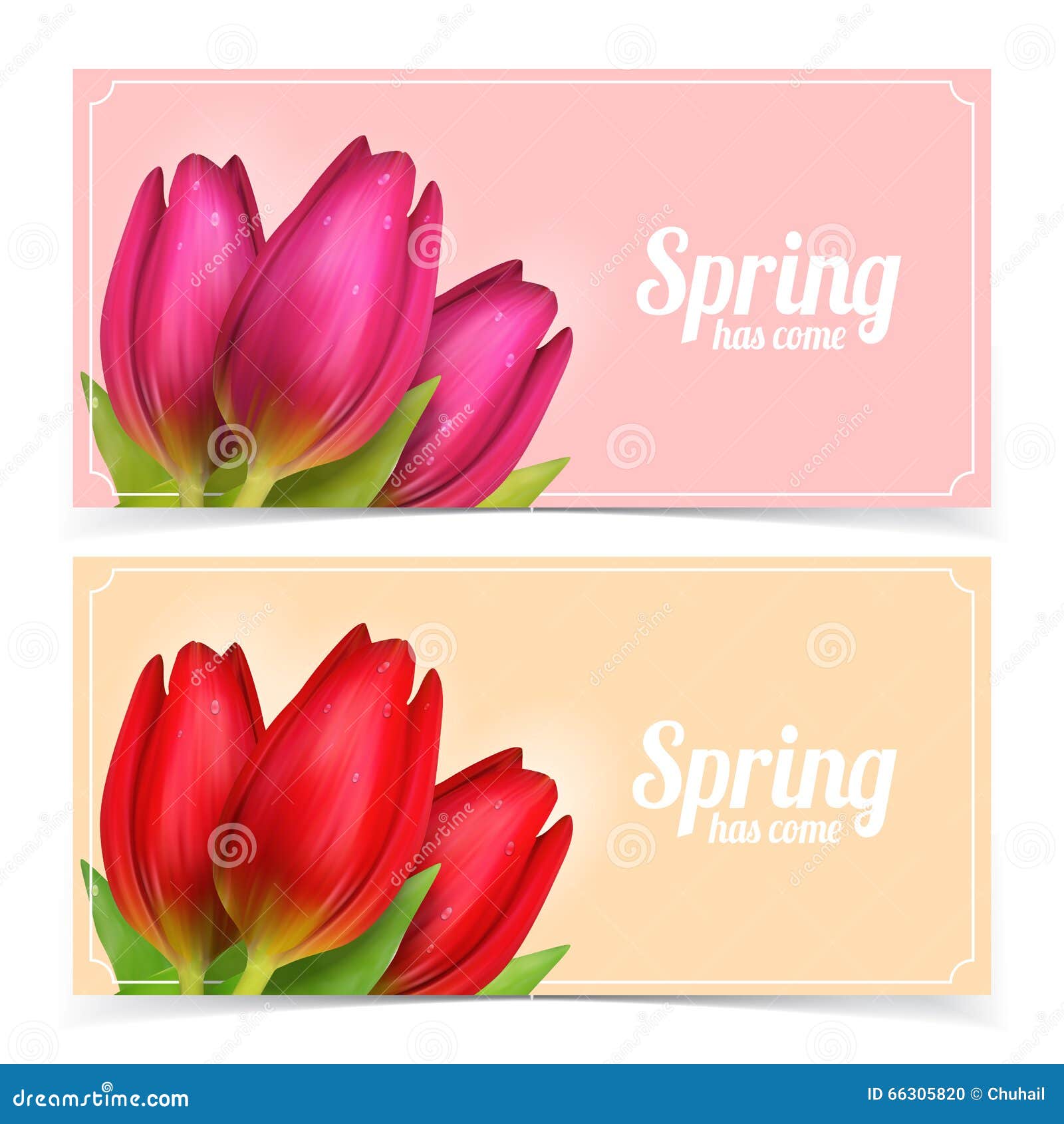 Tulip flowers composition. stock vector. Illustration of banner - 66305820
