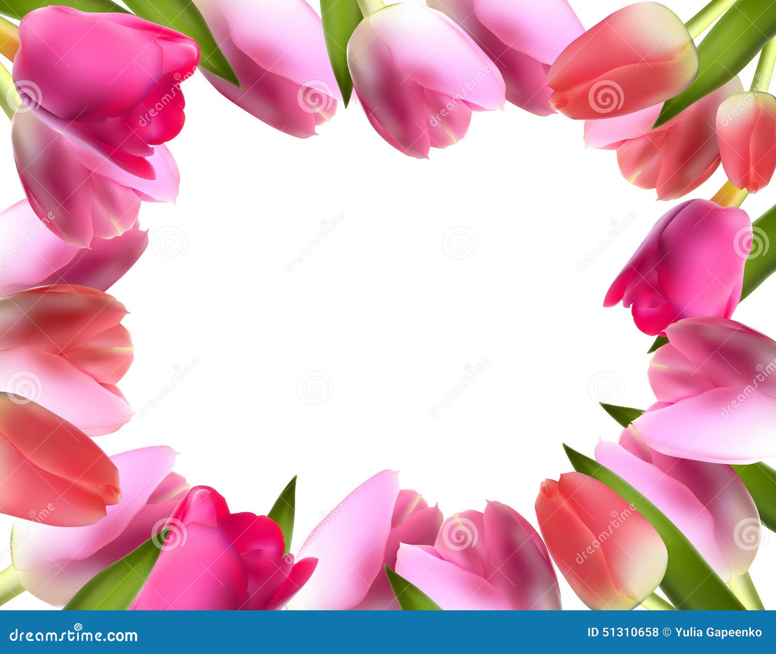 Tulip Frame Vector Realista Rosada Hermosa Ilustración del Vector ...