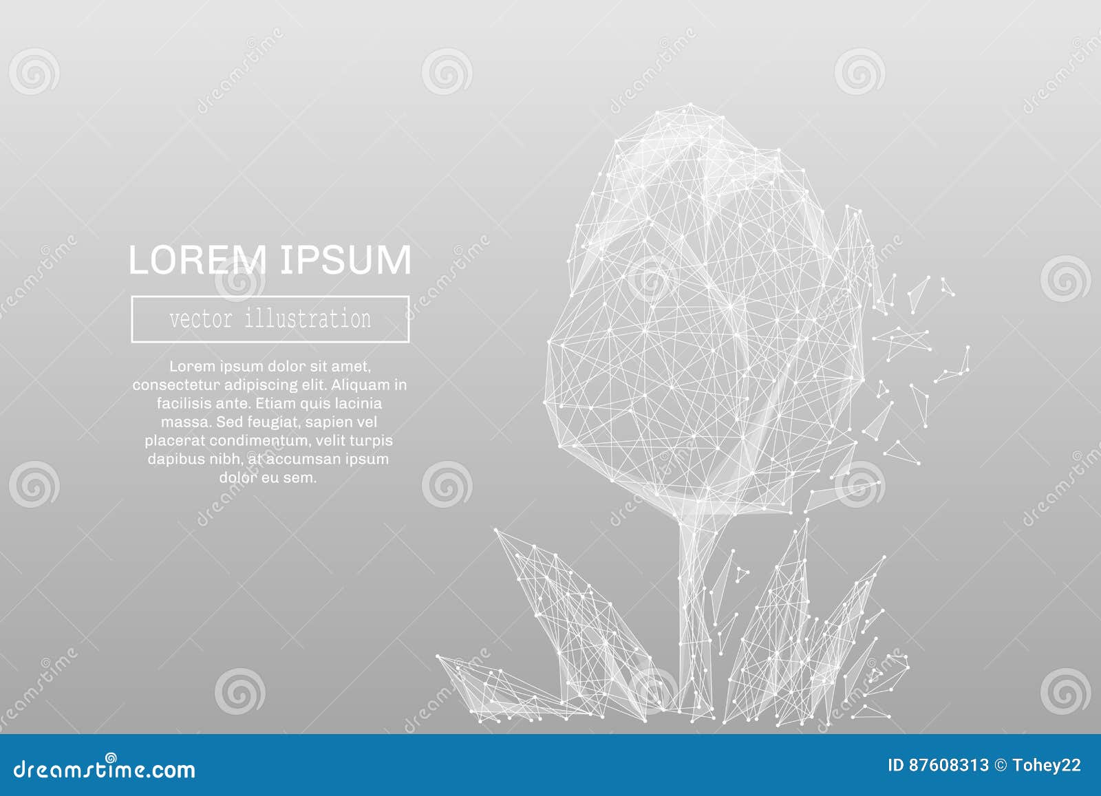 Tulip low poly white stock vector. Illustration of geometric - 87608313