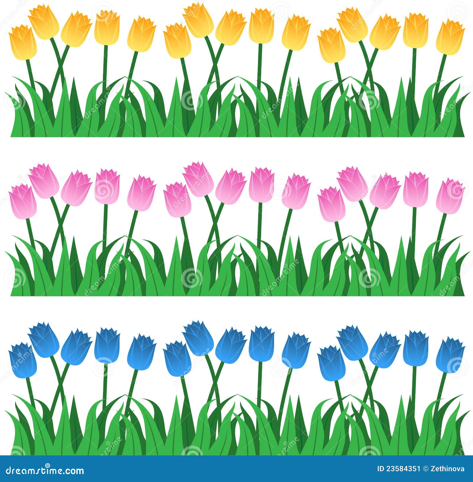 Tulip Rows stock illustration. Illustration of yellow - 23584351
