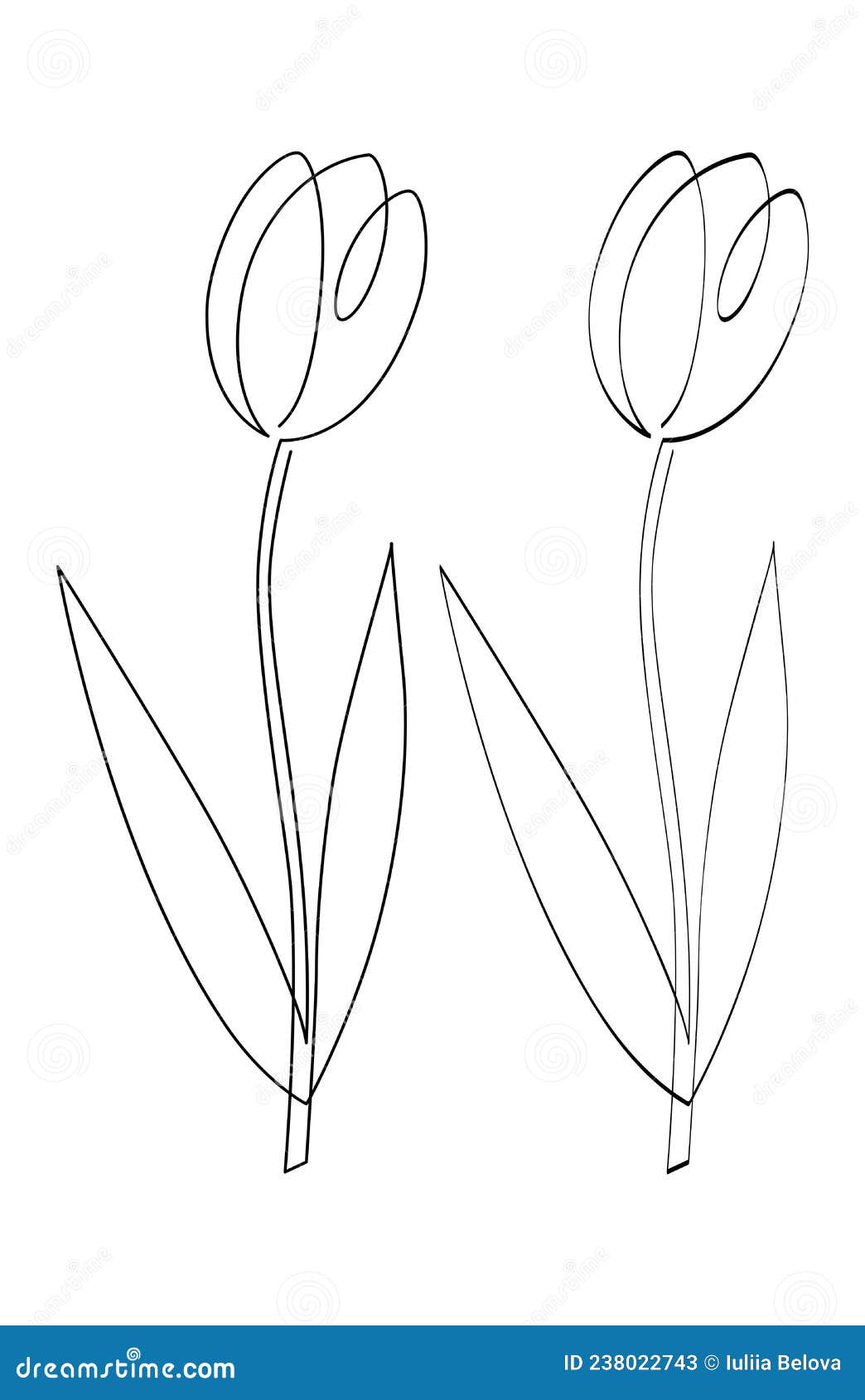 Tulip. Spring Flower, Bulbous Plant. Continuous Line Drawing Stock ...
