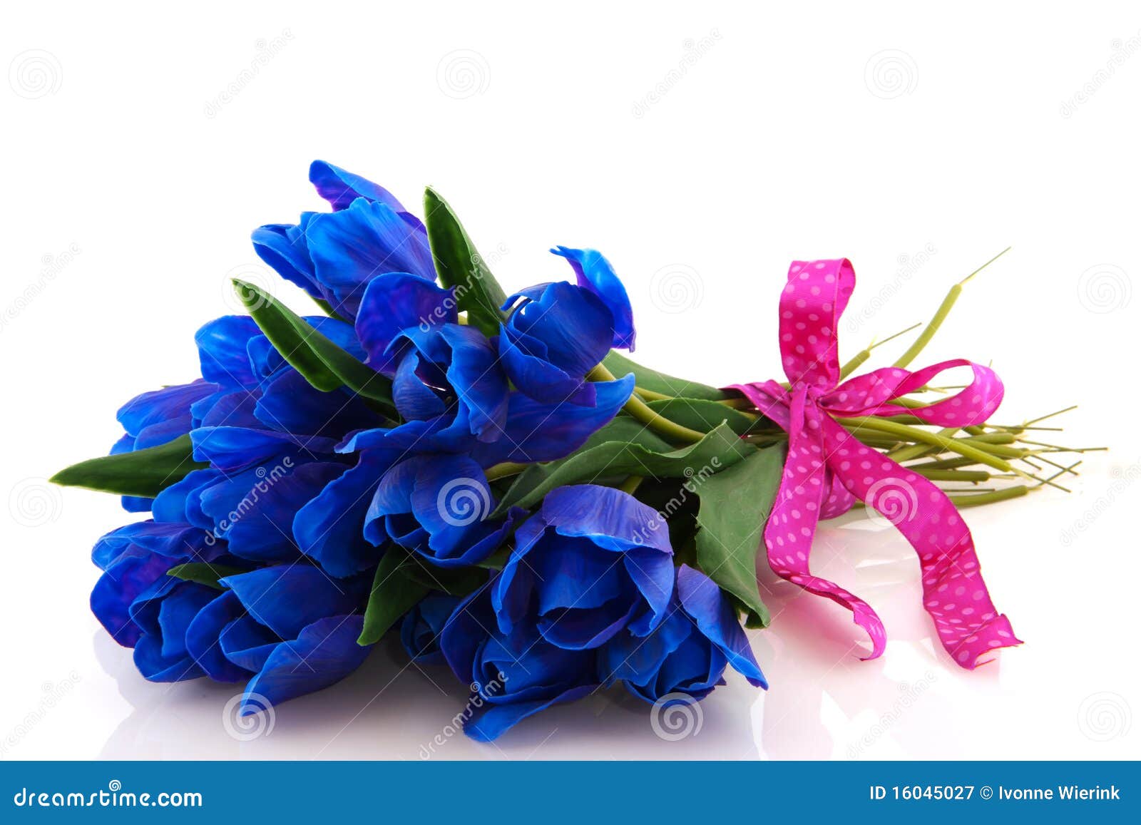 Tulipanes azules imagen de archivo. Imagen de colores - 16045027