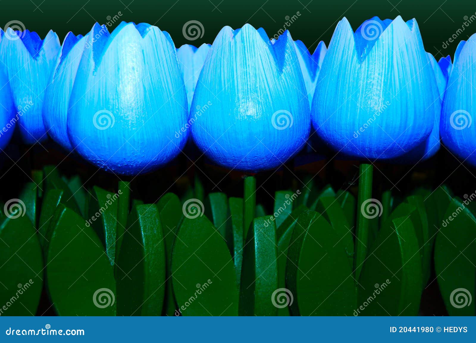 Tulipanes de madera azules foto de archivo. Imagen de temprano - 20441980