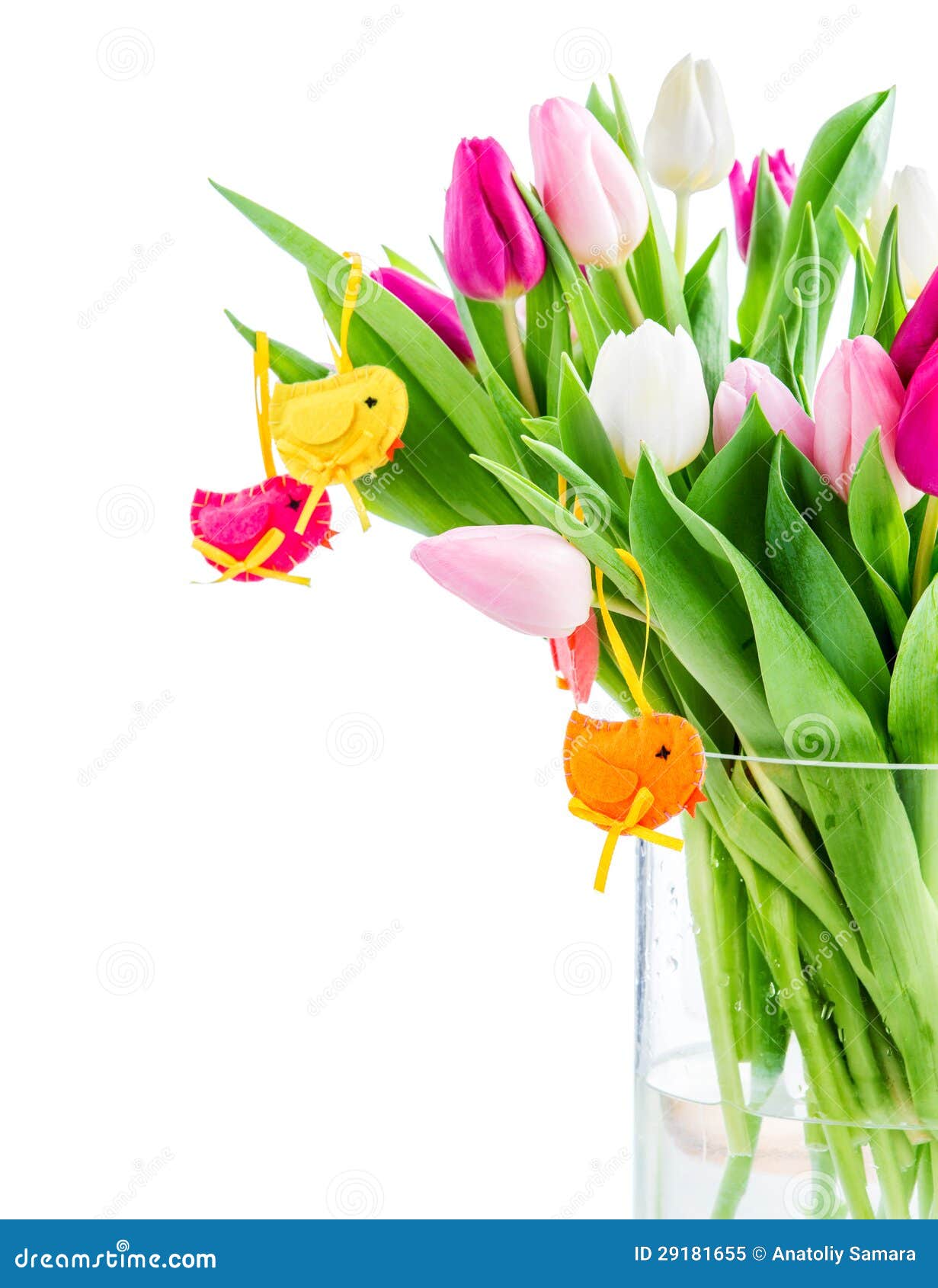 Tulips and Birds Decoration Stock Image - Image of fresh, bird: 29181655