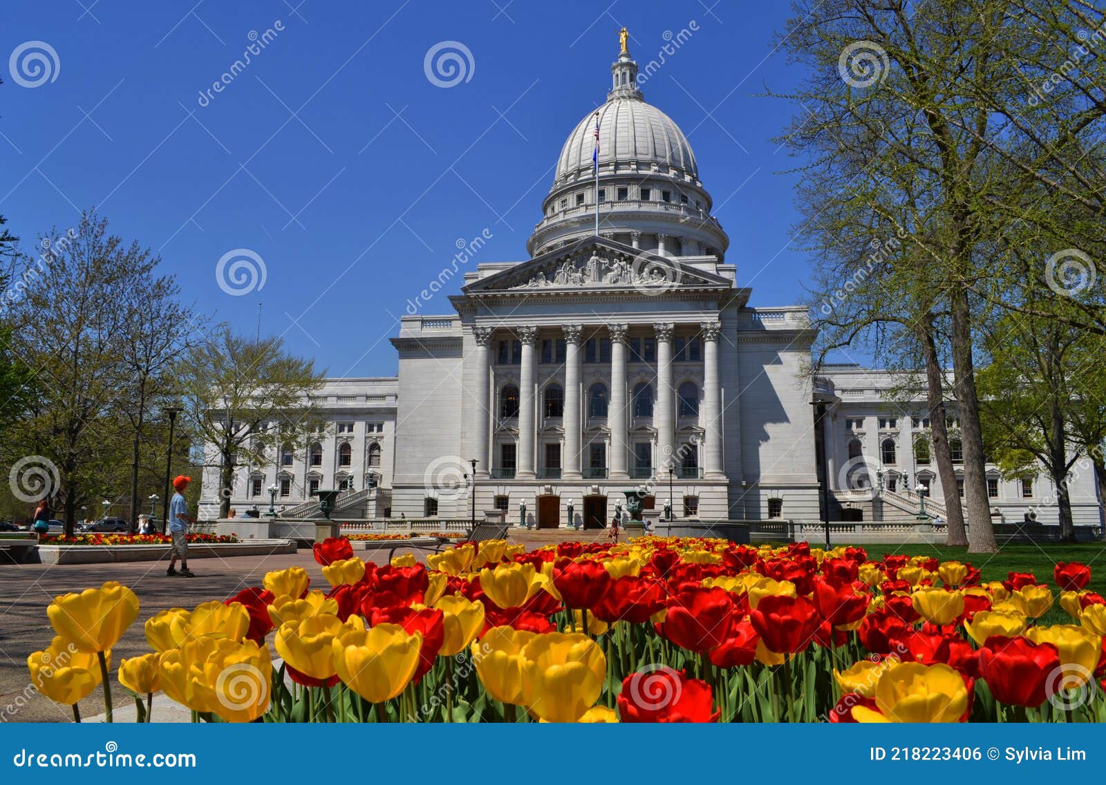 The Tulips Bloom in Front of the Capitol Building of Madison Wisconsin ...