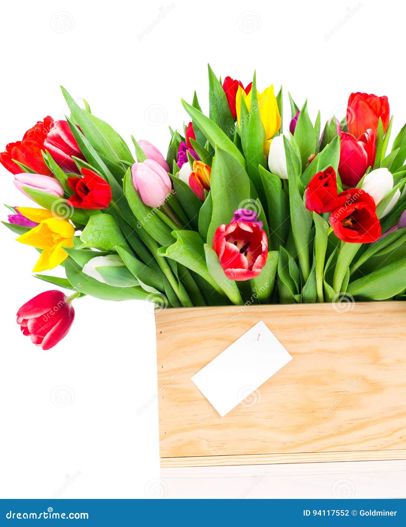 Tulips in the box stock photo. Image of celebrate, botanical - 94117552