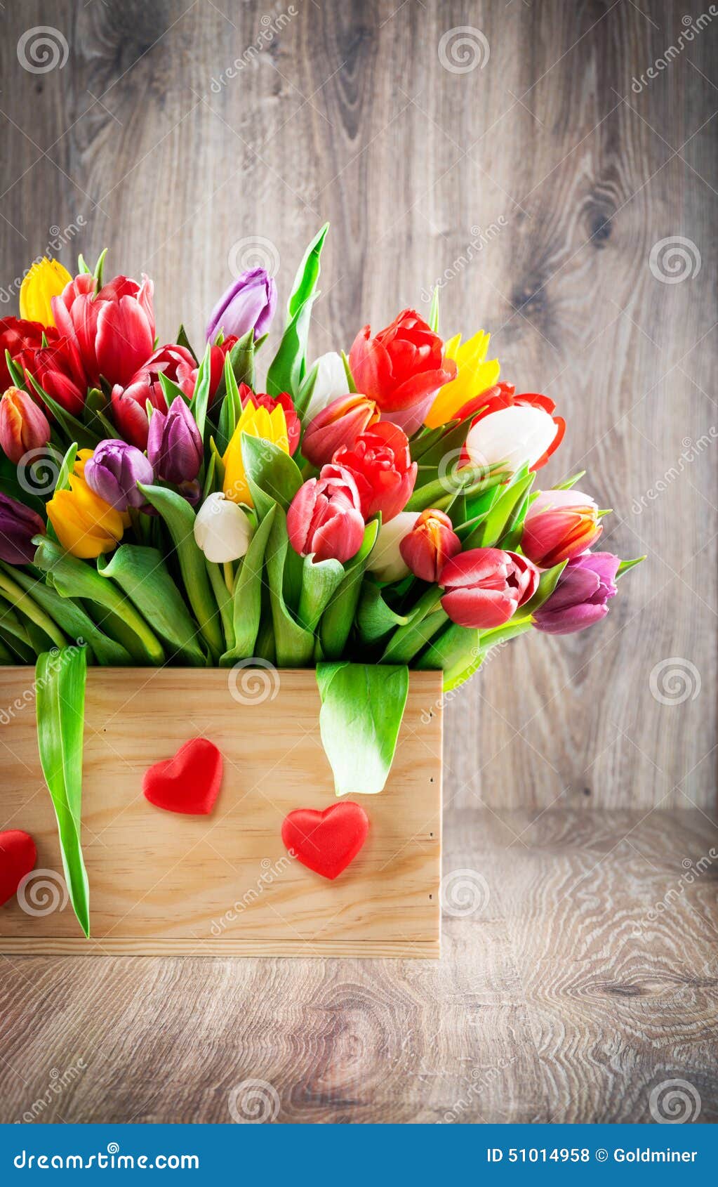 Tulips in the box stock photo. Image of blossom, stem - 51014958