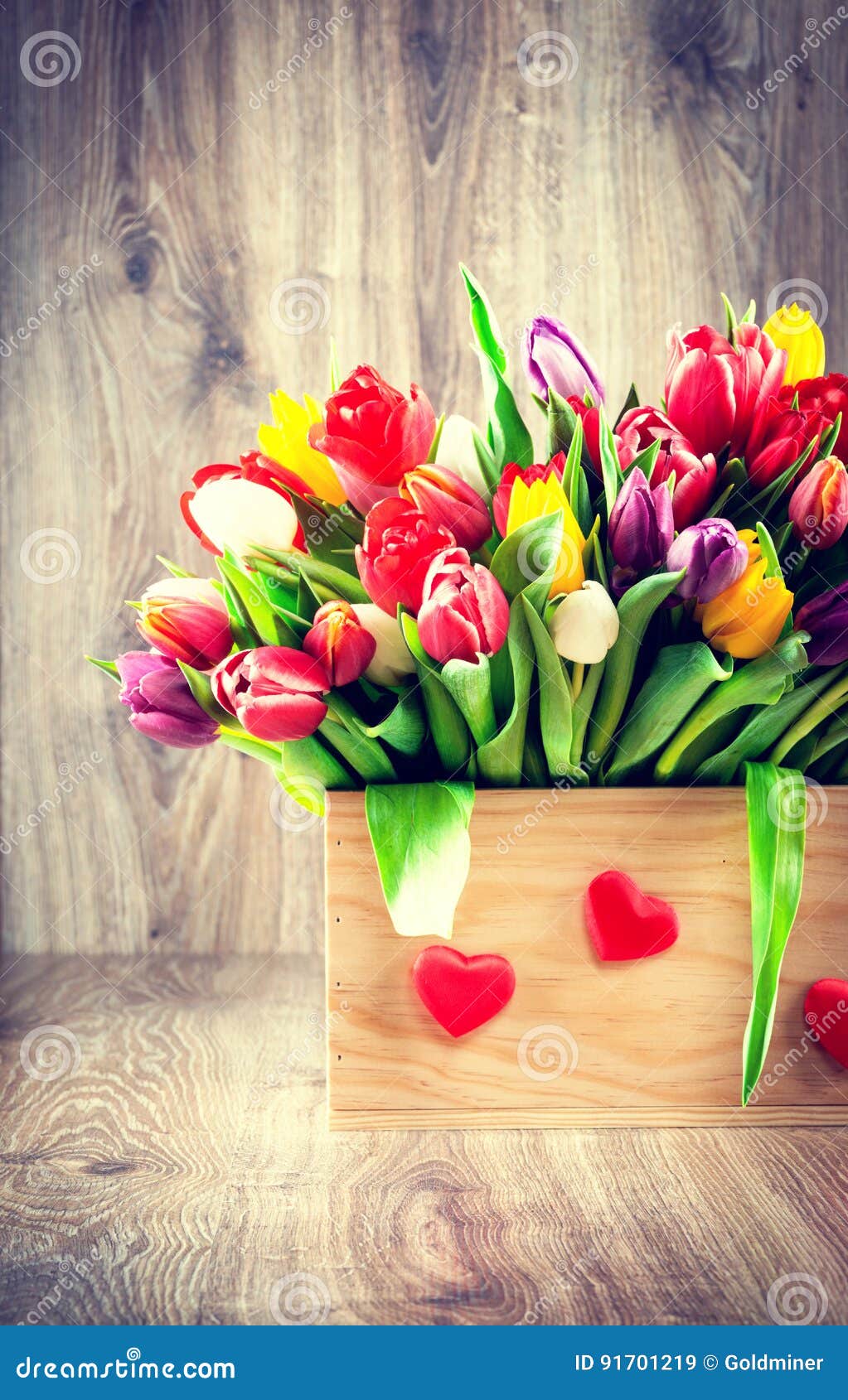 Tulips in the box stock image. Image of nature, easter - 91701219
