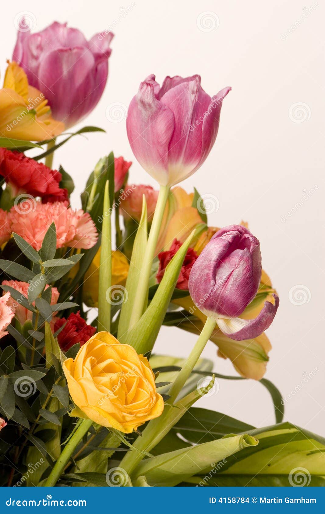 2,643 Tulips Yellow Roses Stock Photos - Free & Royalty-Free Stock ...