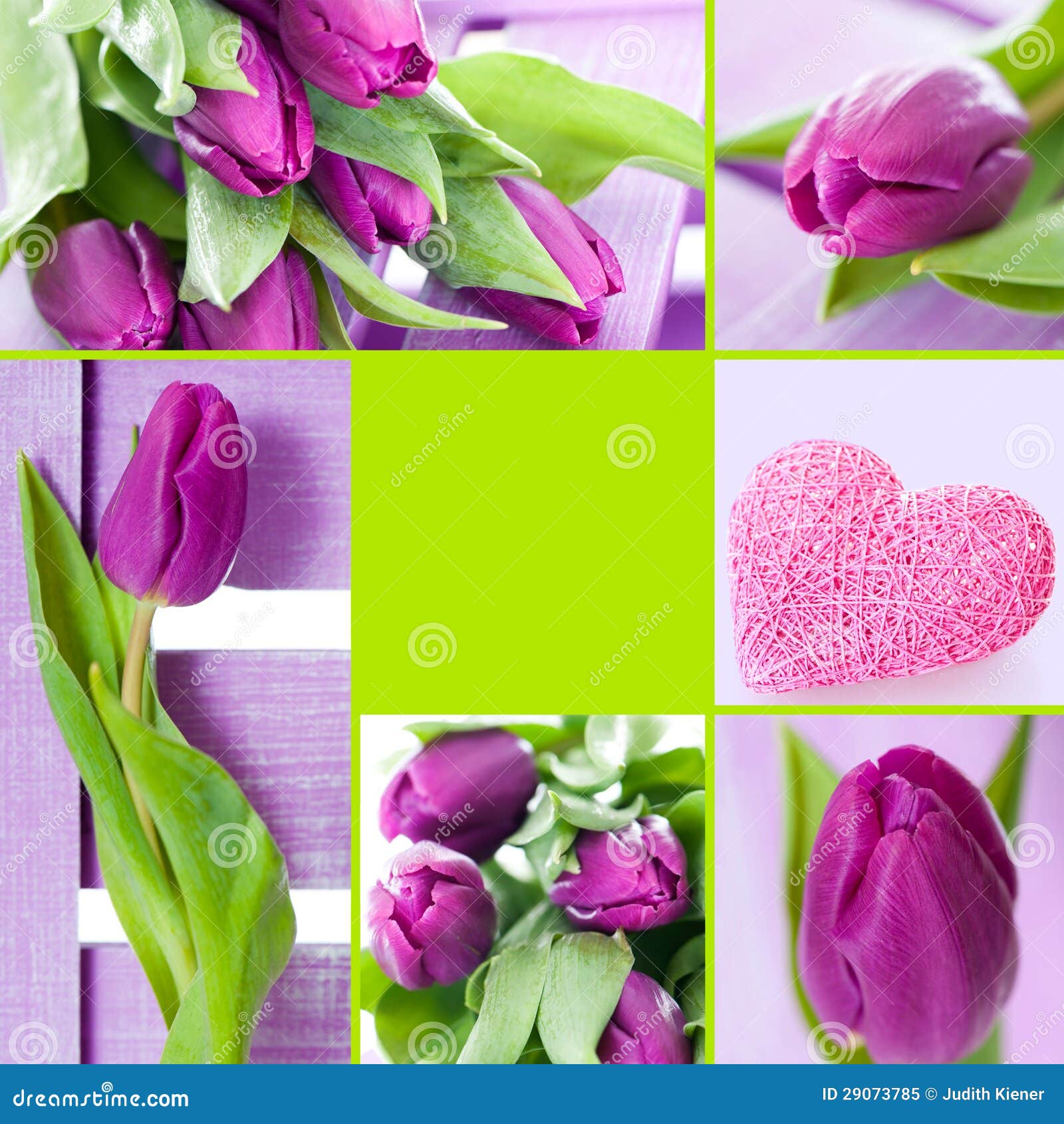 Tulips collage stock image. Image of colorful, space - 29073785