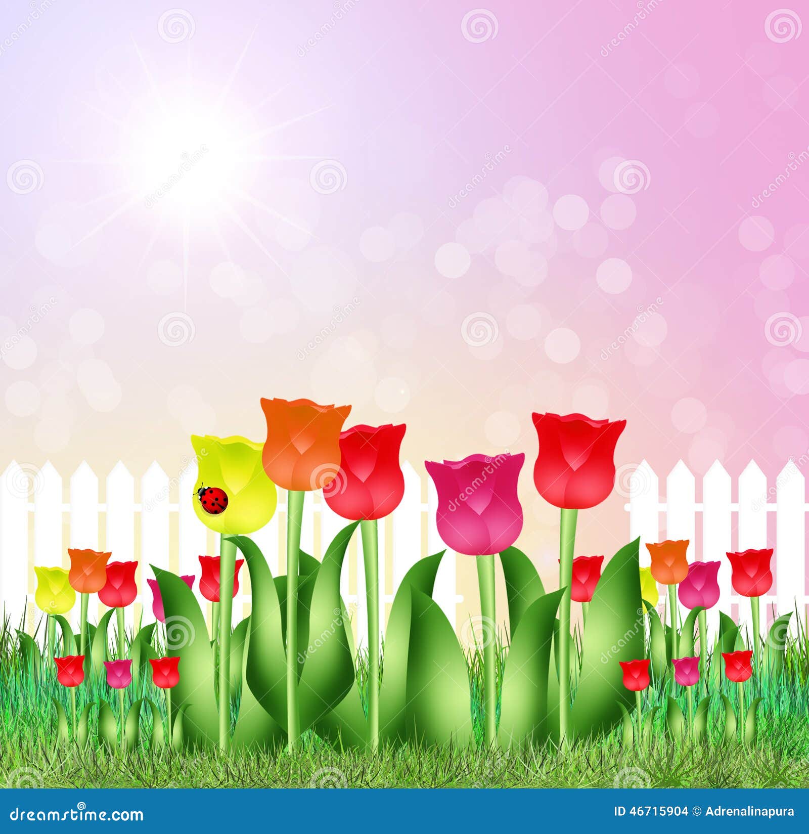Tulips field in spring stock illustration. Illustration of meadow ...