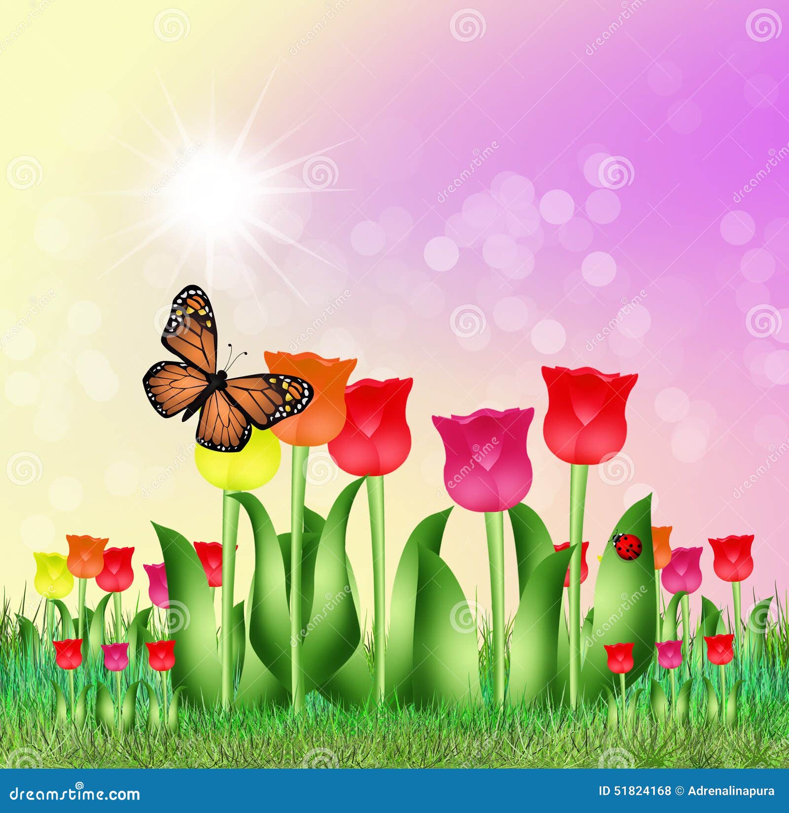 Tulips field in spring stock illustration. Illustration of meadow ...