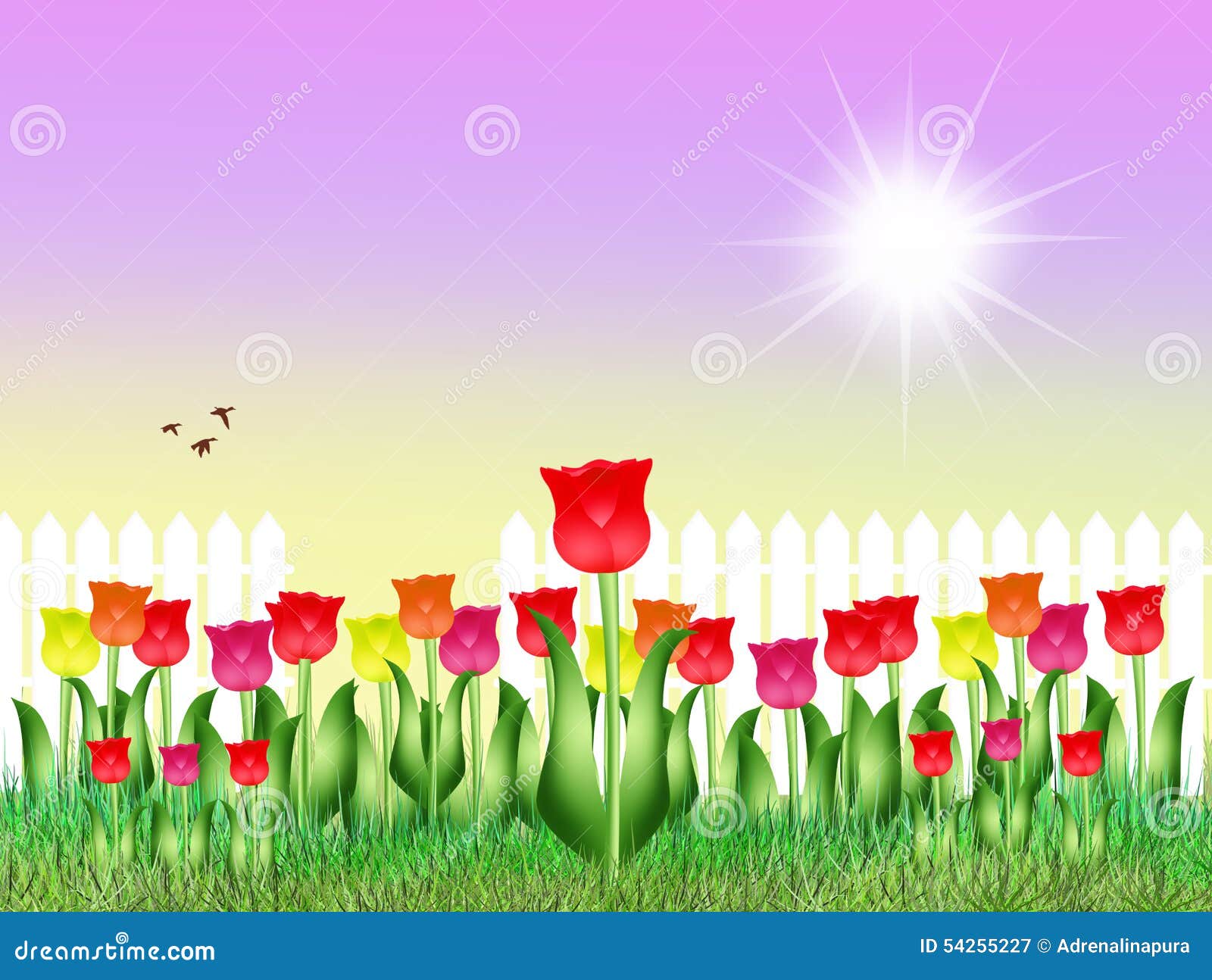 Tulips field in spring stock illustration. Illustration of beautiful ...