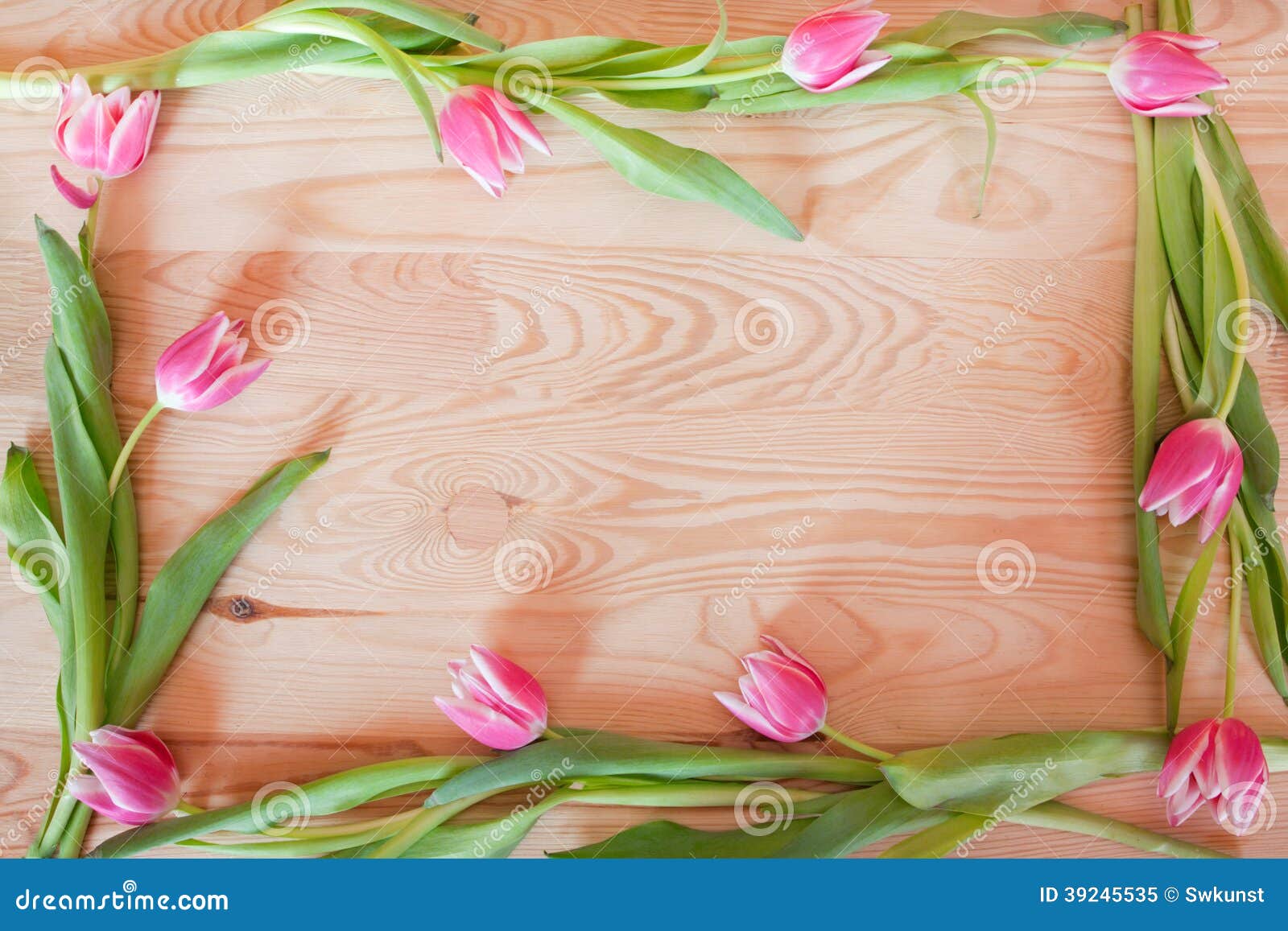 Tulips flowers frame . stock image. Image of spring, frame - 39245535